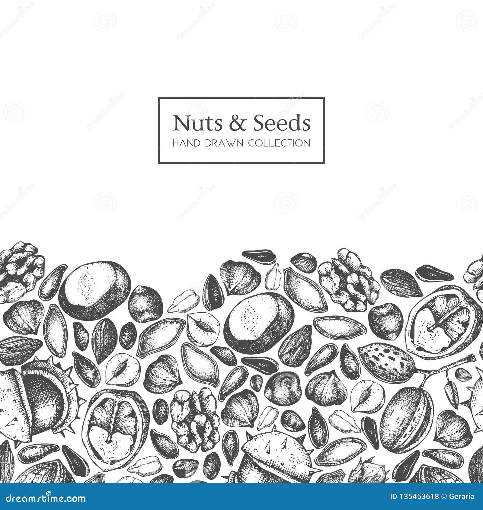Vector Design with Hand Drawn Nuts and Seeds Sketches. Hazelnut, Walnut ...