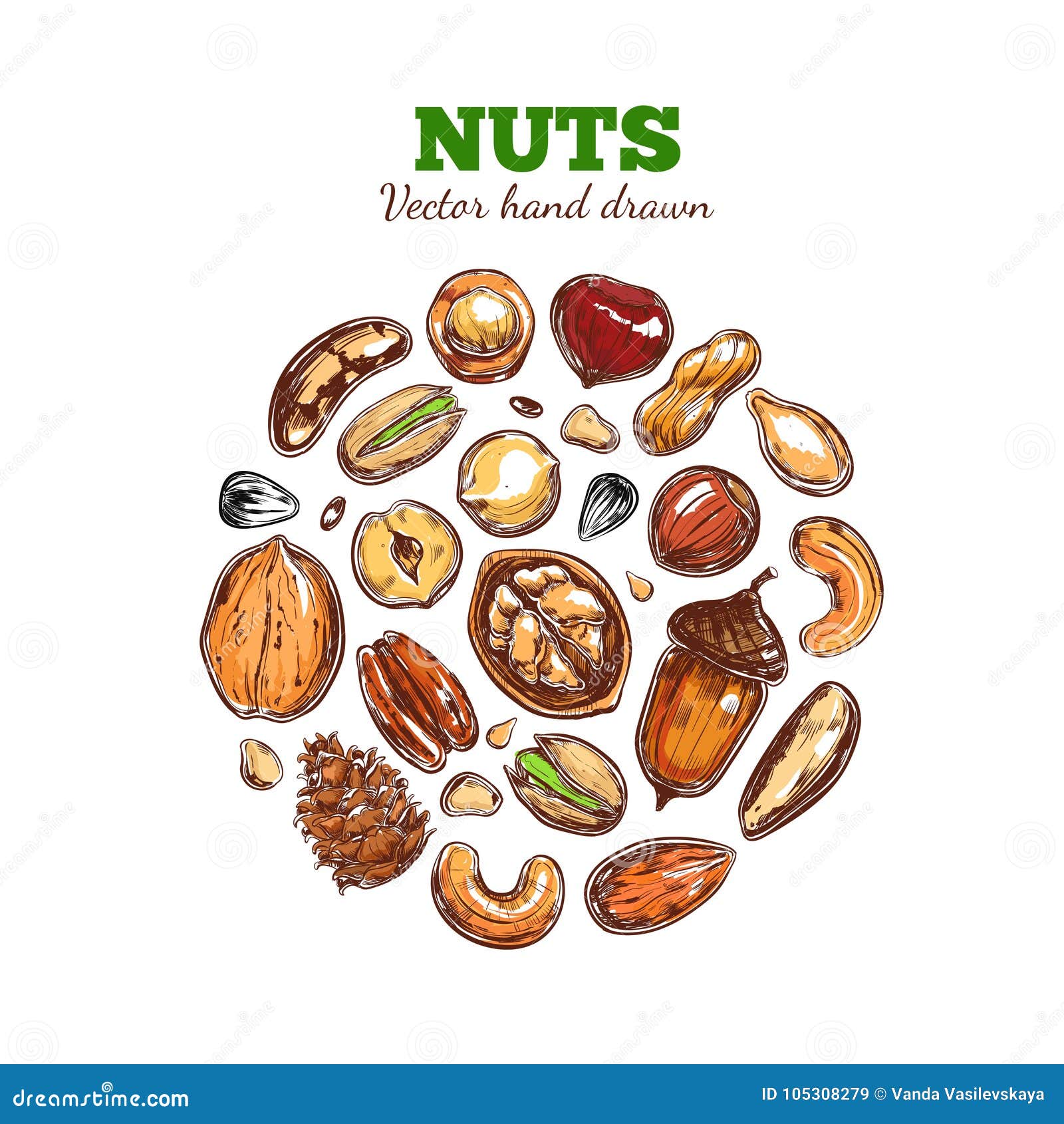 Nuts and seeds collection. stock vector. Illustration of macadamia ...