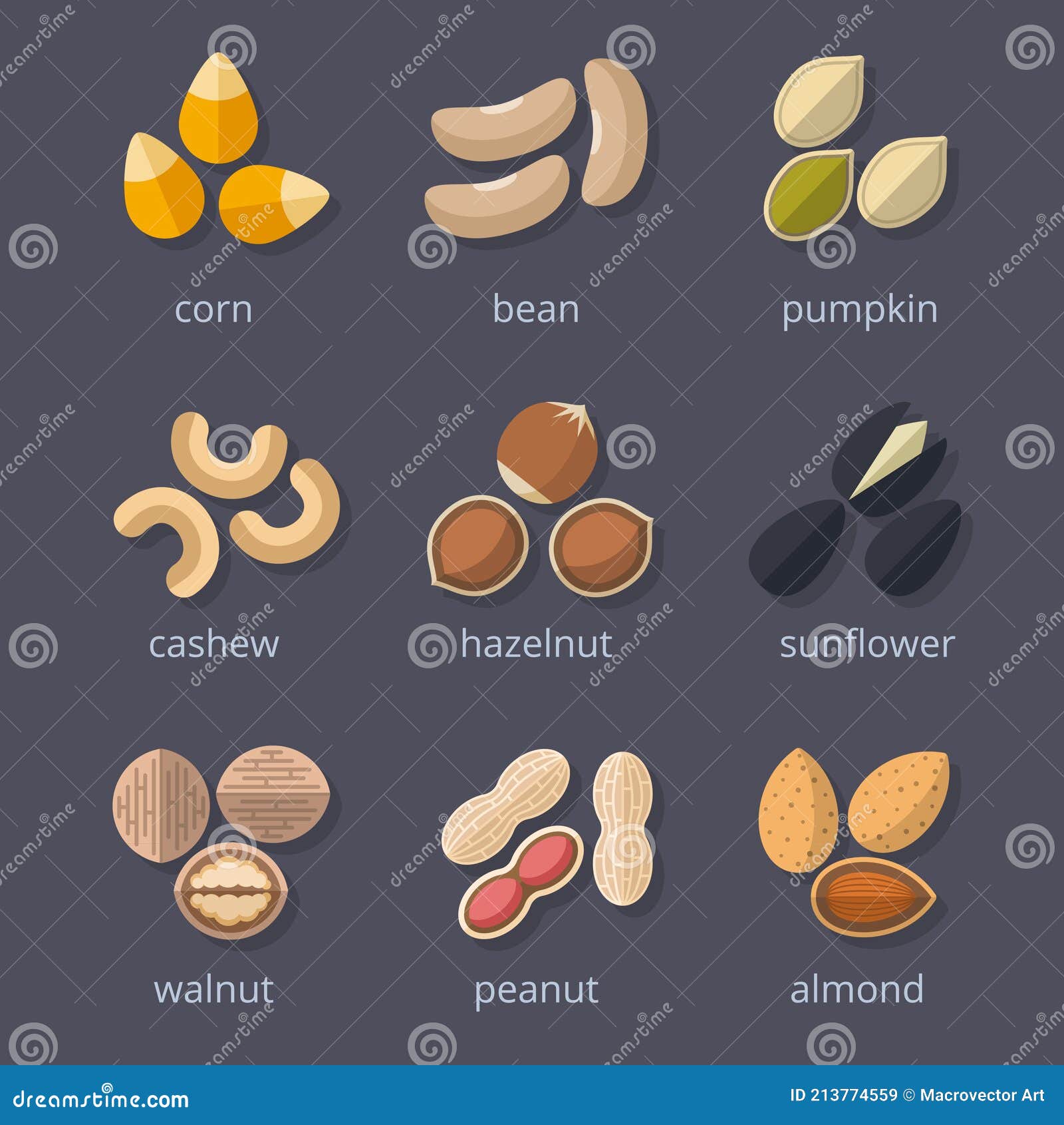 Nuts and seeds icon set stock vector. Illustration of nutshell - 213774559