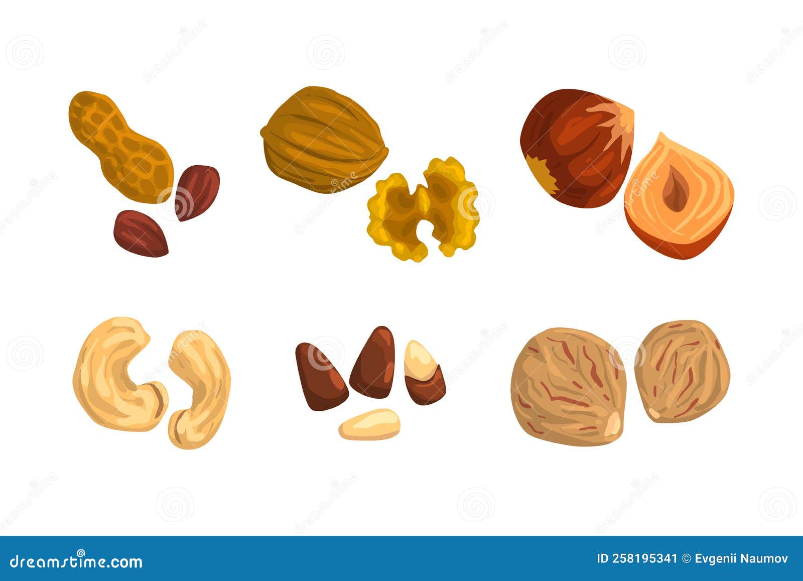 Nuts and Seeds Set. Peanut, Walnut, Hazelnut, Cashew, Pine Nut, Nutmeg ...