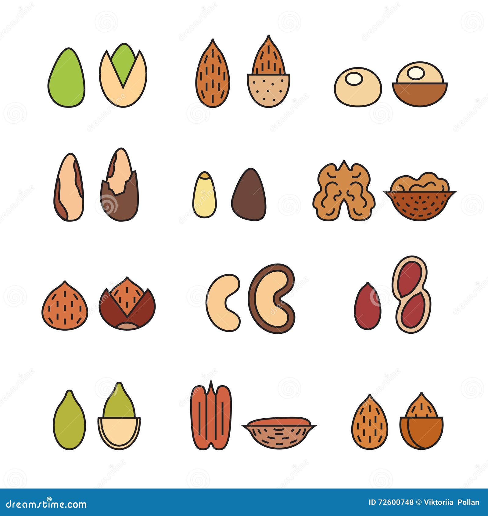 Set Vector Icons Of Nuts Cartoon Vector | CartoonDealer.com #87604879