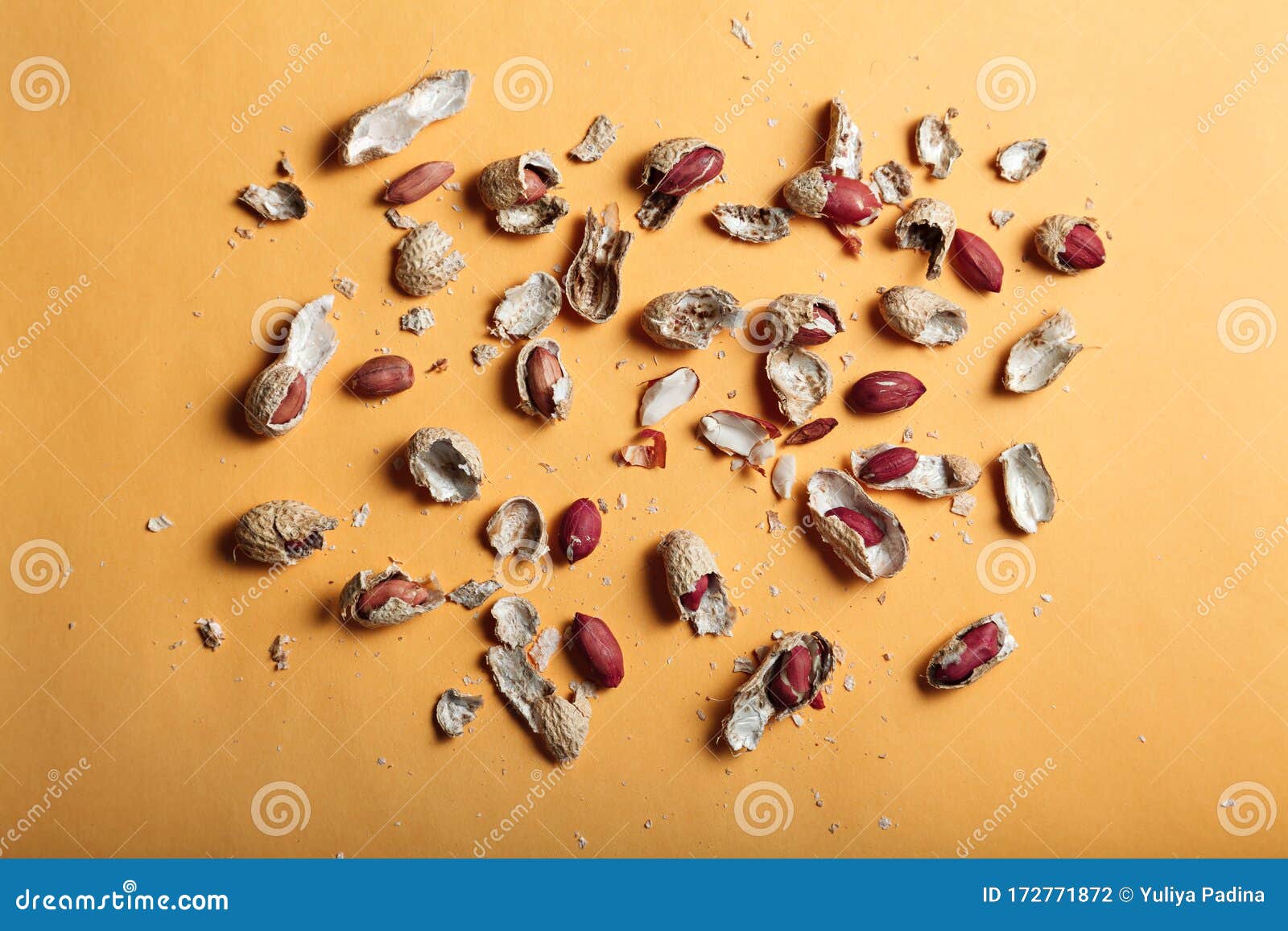 Grains and Peanut Shells are Scattered on an Orange Paper Background ...