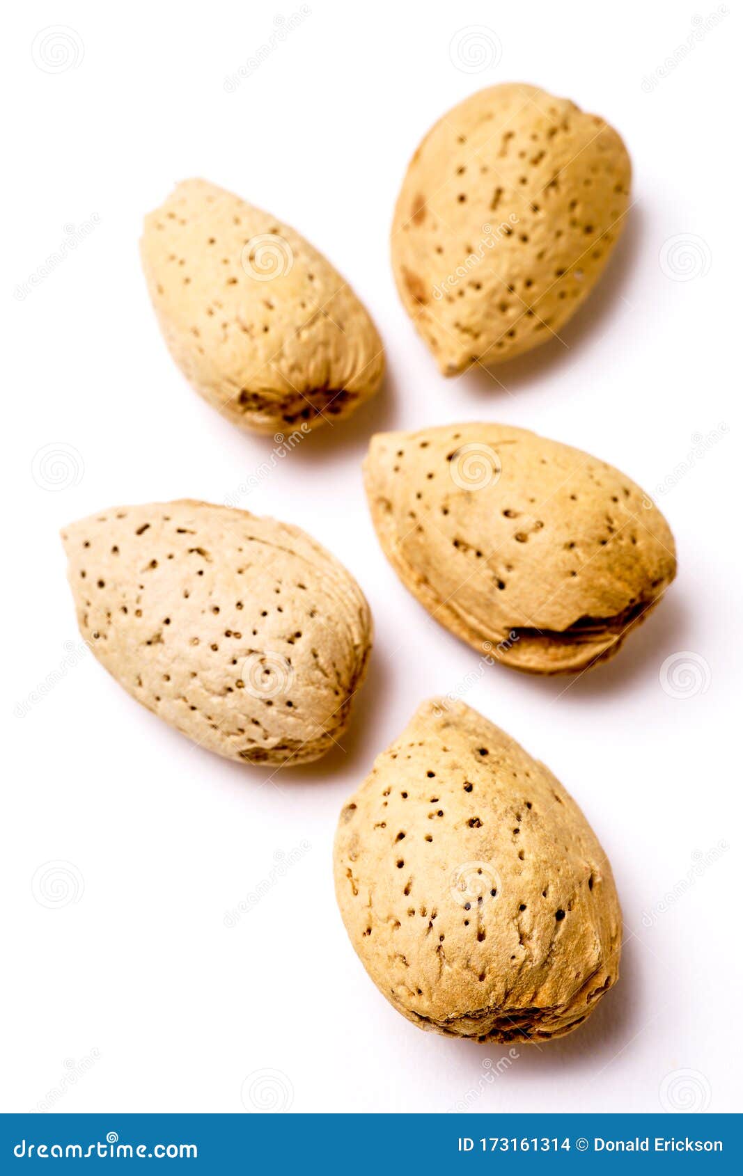 Nuts in Shell Isolated on White Stock Photo - Image of drink, people ...