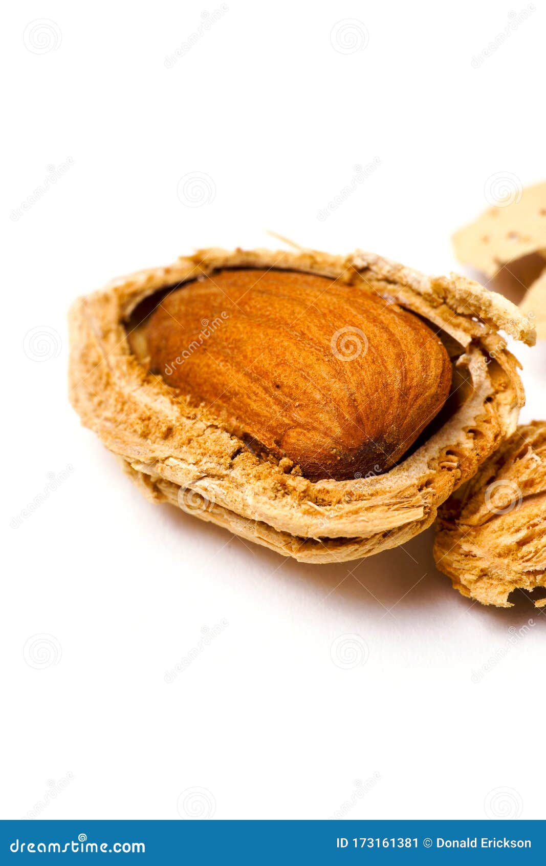 Almond Nut in Shell Isolated on White Stock Image - Image of nuts ...