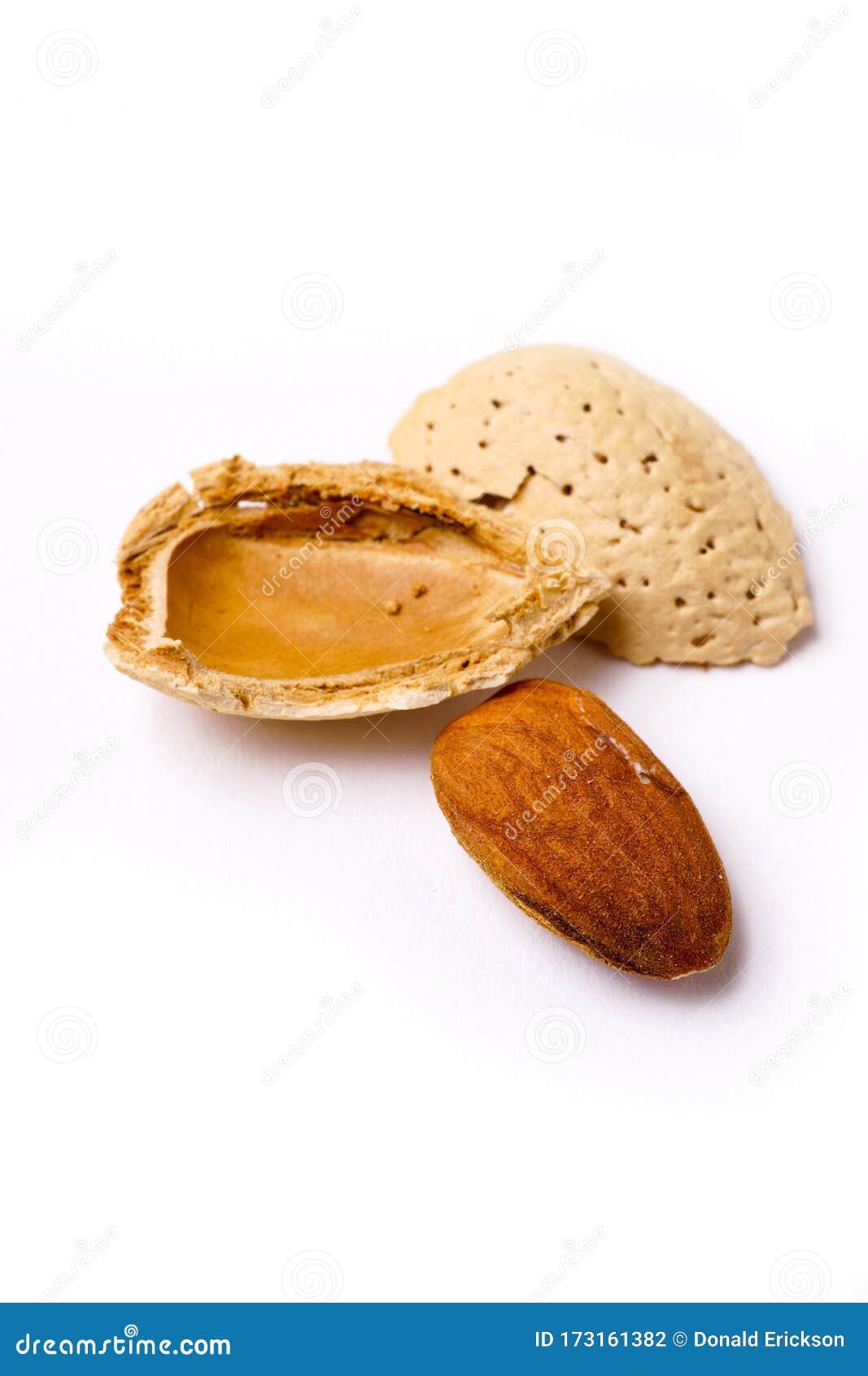 Almond Nut Isolated on White Stock Photo - Image of organic, drink ...