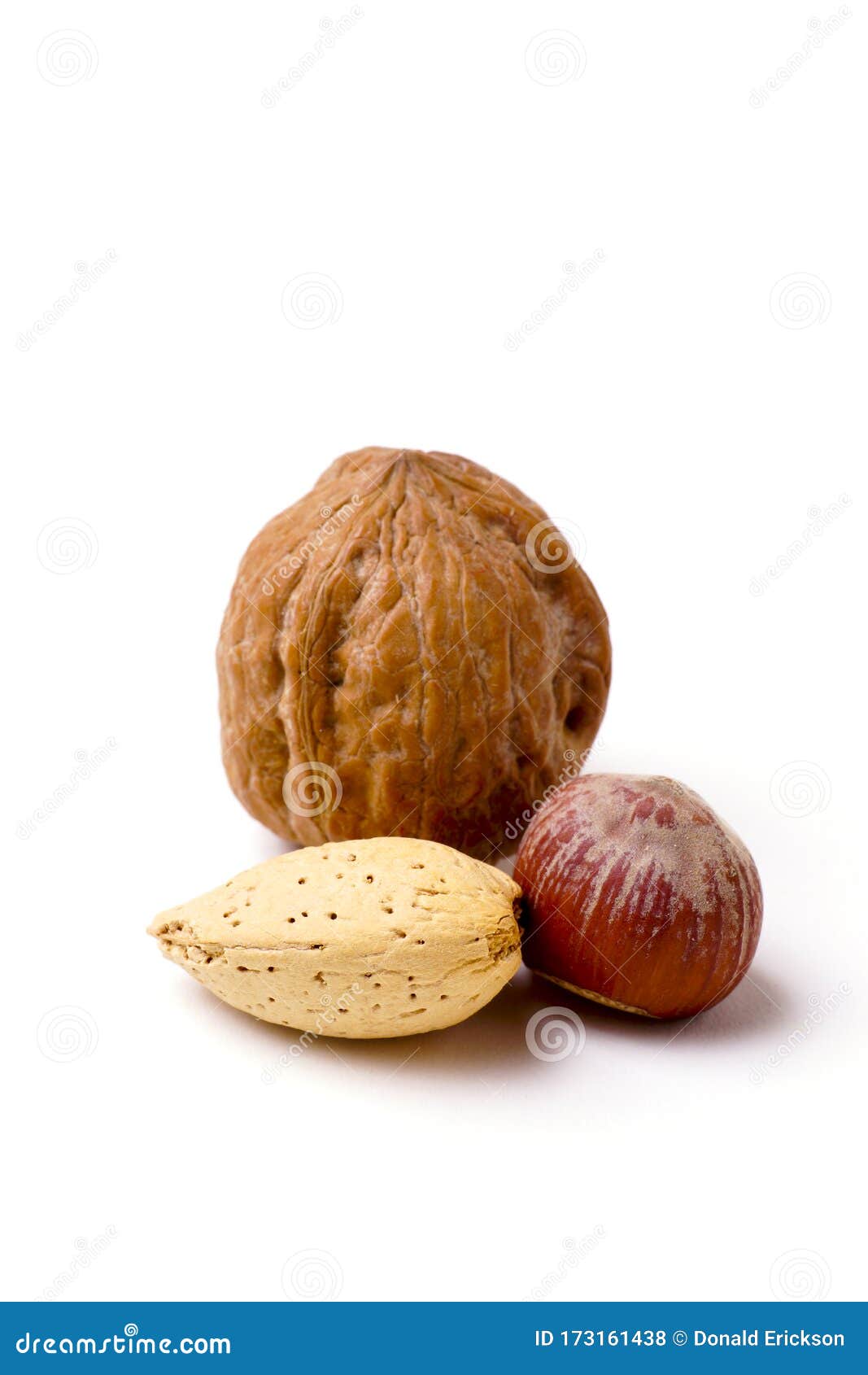 Nuts in Shell Isolated on White Stock Photo - Image of food, macro ...