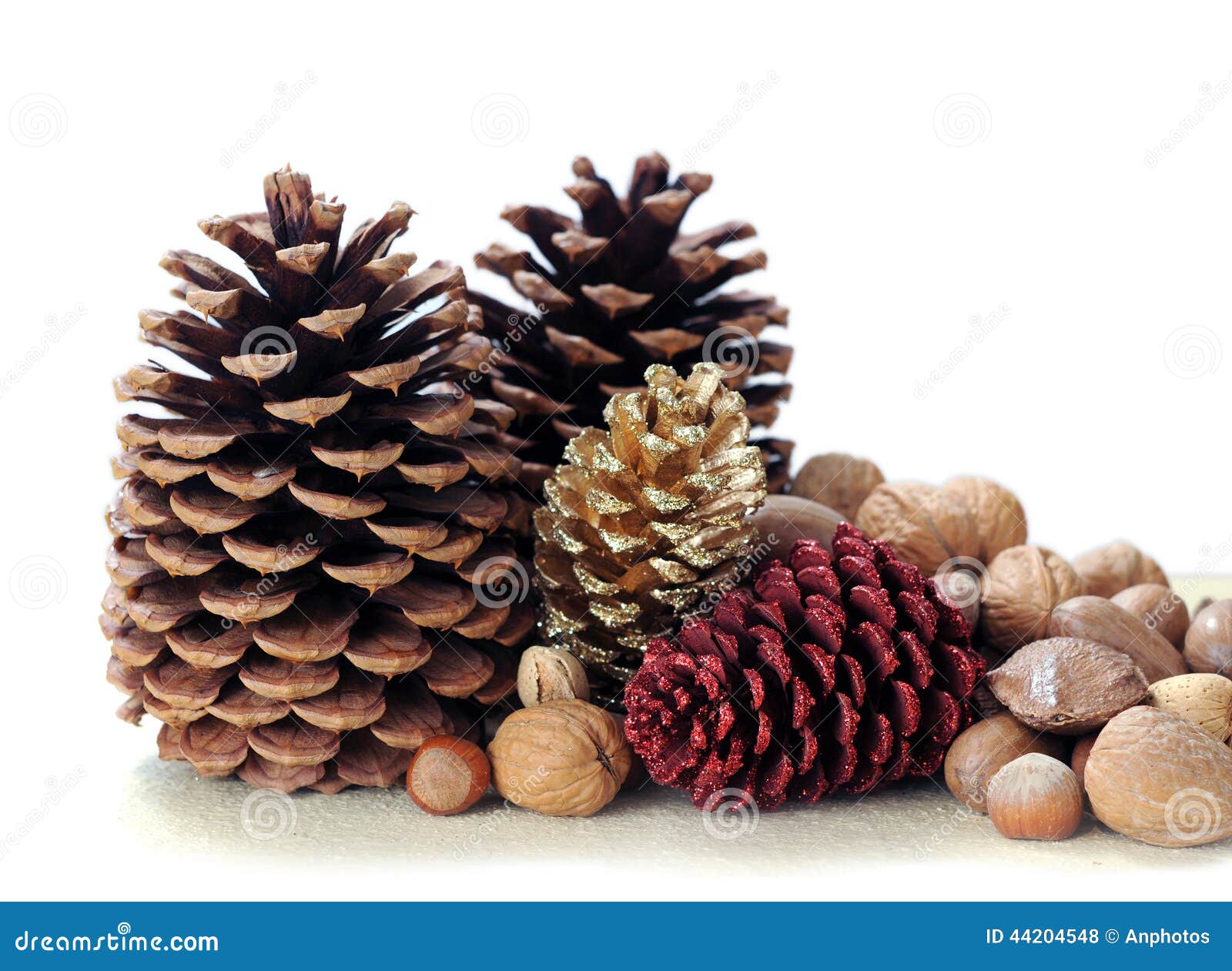 Nuts in Shells with Pine Cones Stock Photo - Image of almond, brazil ...