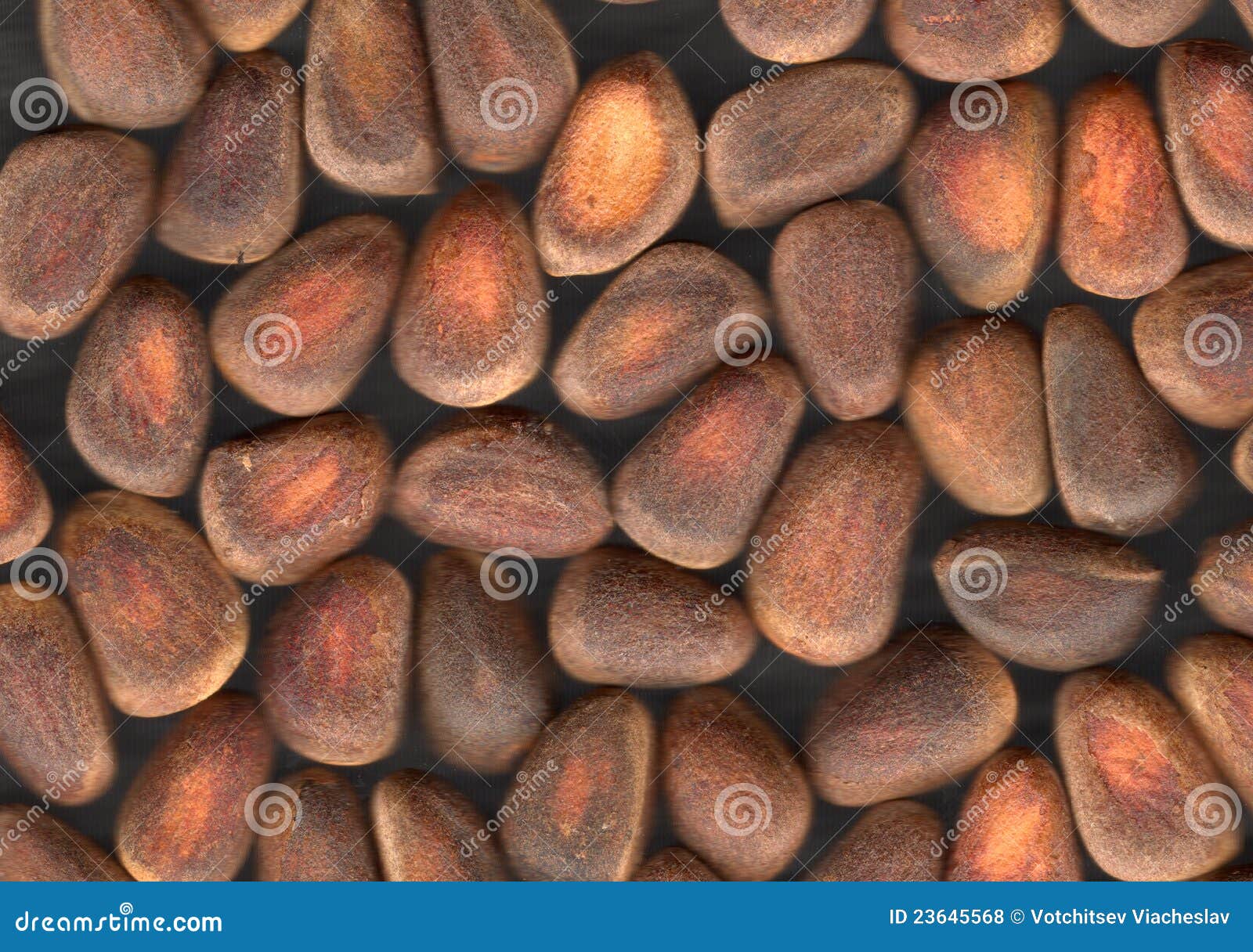 Nuts Of Siberian Cedar Pine Stock Photo - Image of nature, calorie ...