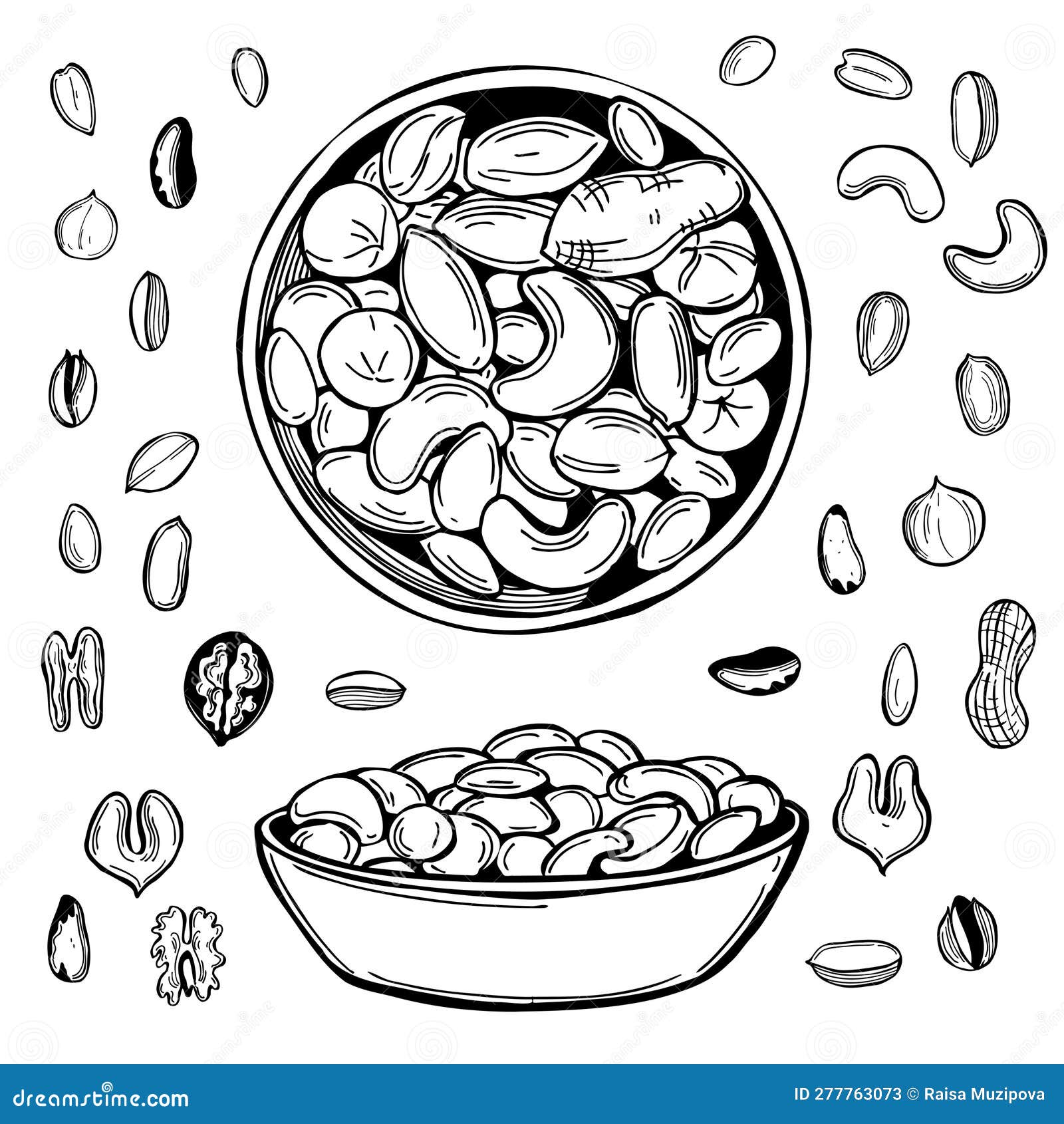 Nuts. Sketch illustration stock vector. Illustration of ingredient ...