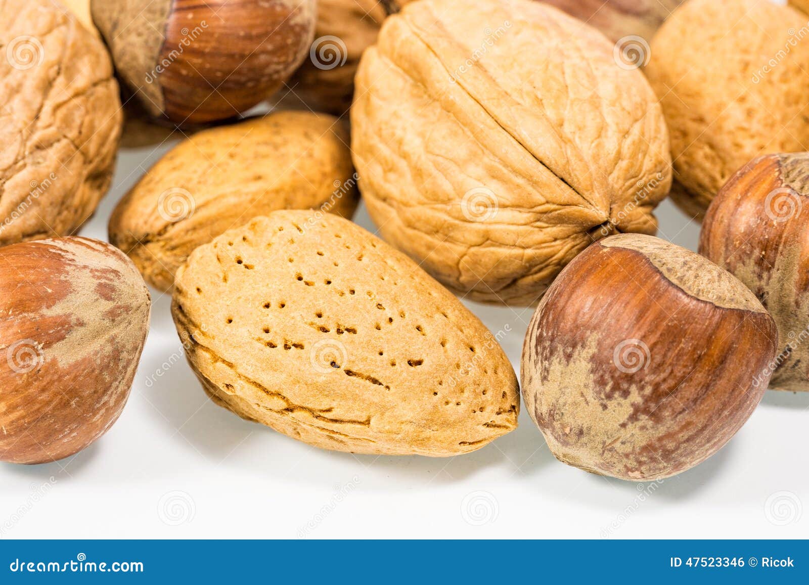 Nuts stock photo. Image of white, prunus, shell, almond - 47523346