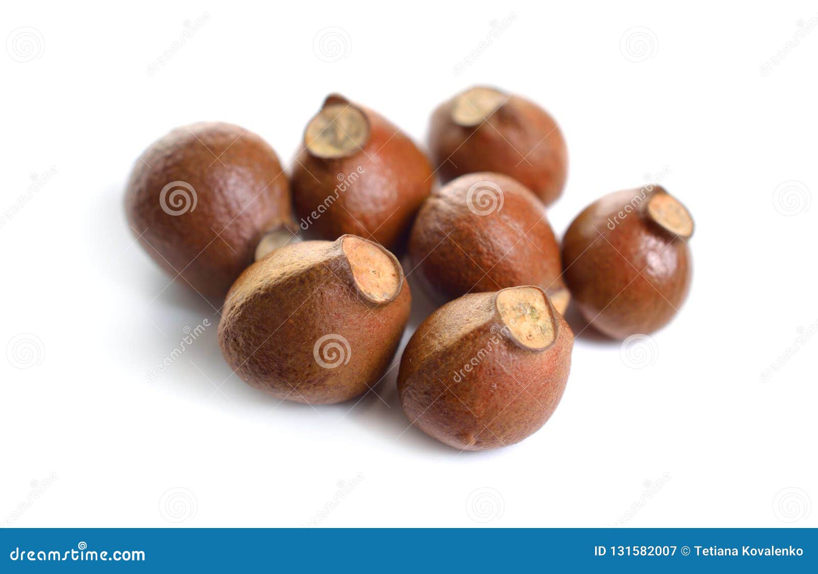 Nuts of Staphylea, or Bladdernut. Isolated on White Backgroumd Stock ...