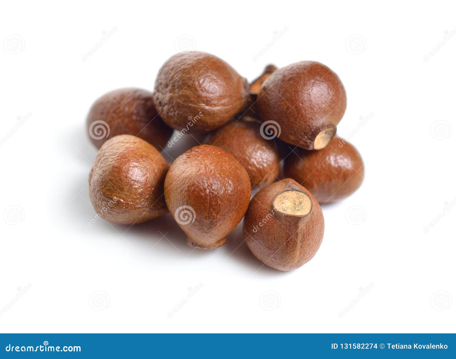 Nuts of Staphylea, or Bladdernut. Isolated on White Backgroumd Stock ...