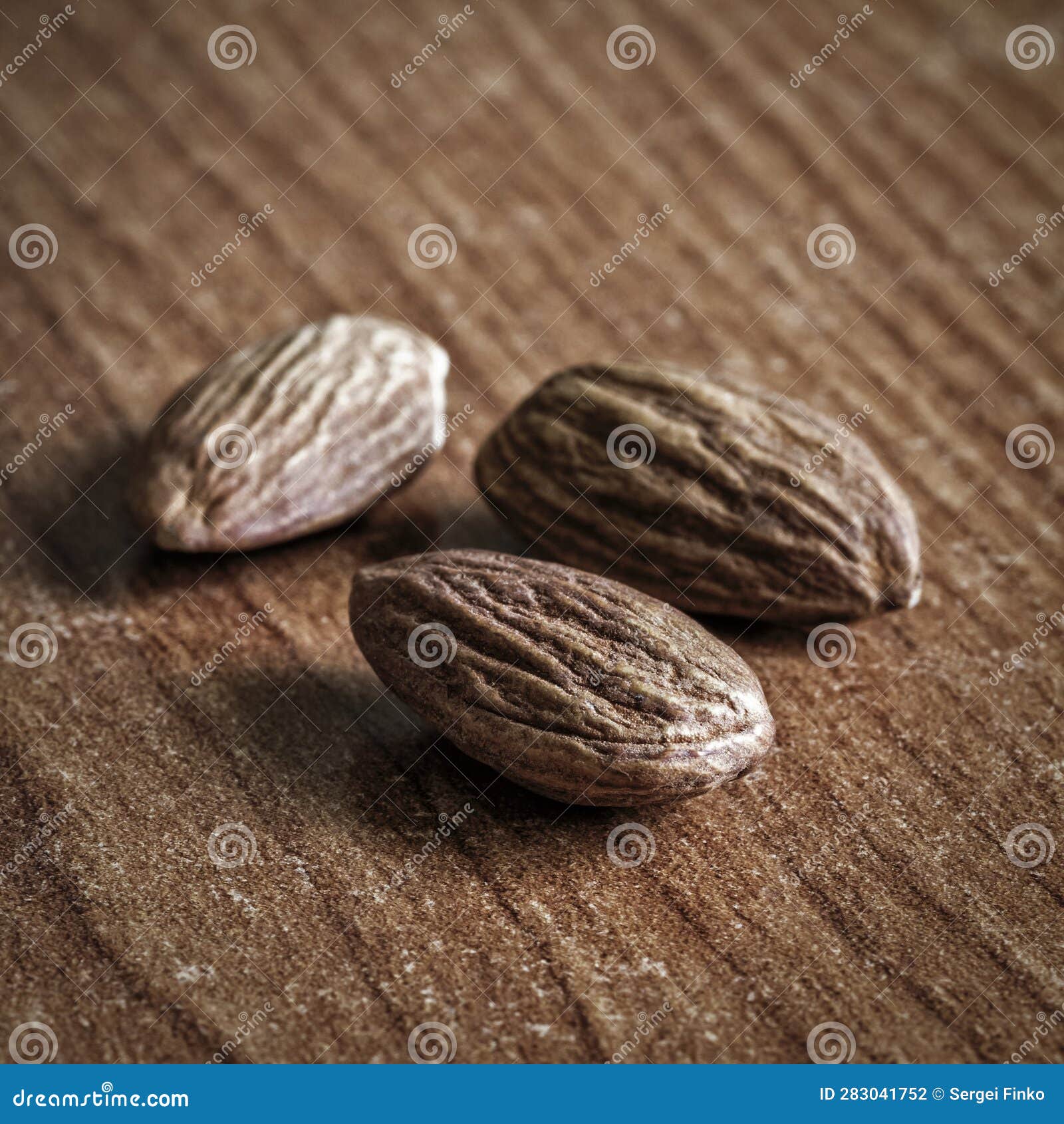 Nuts on the table stock photo. Image of vegetarian, composition - 283041752