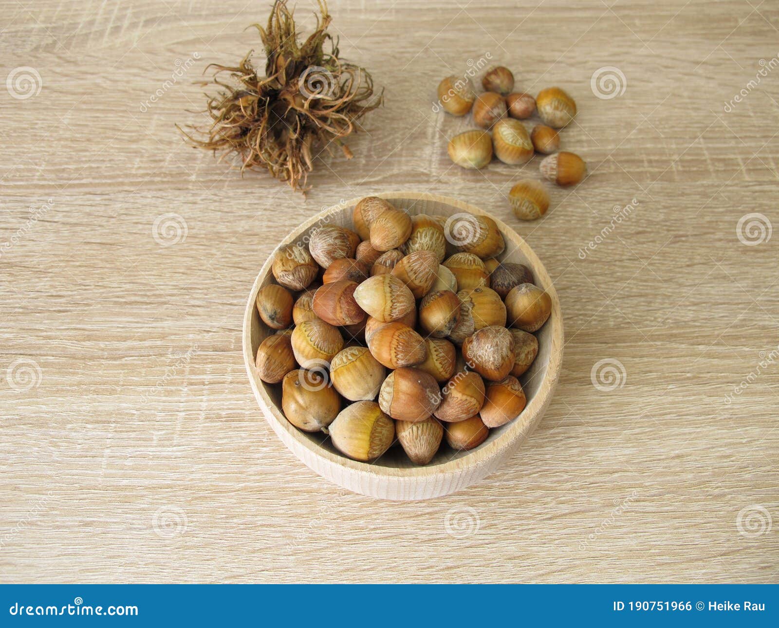 Nuts from the Turkish Hazel Stock Photo - Image of hazelnuts, edible ...