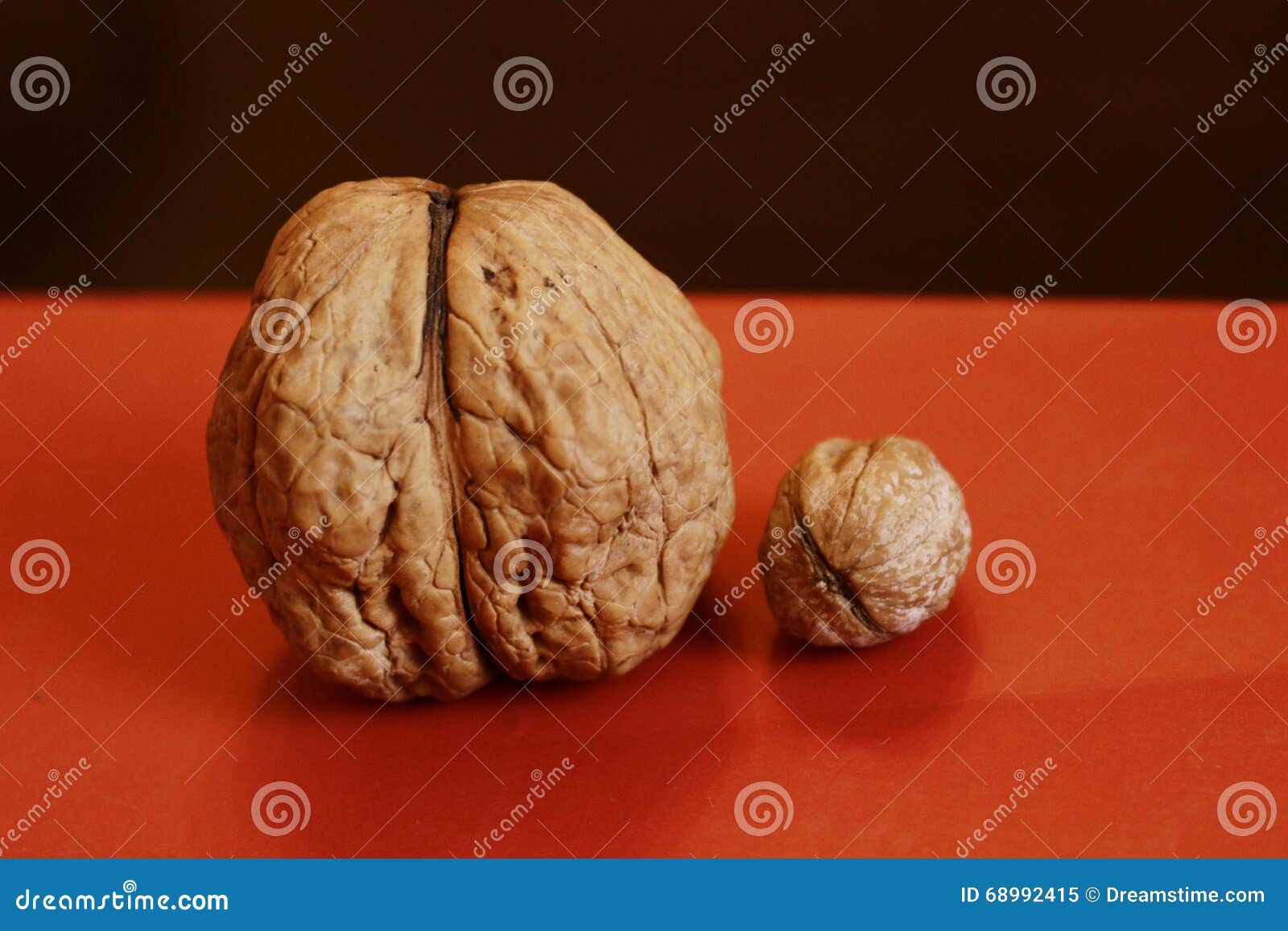 Walnut stock image. Image of small, walnut, selection - 68992415