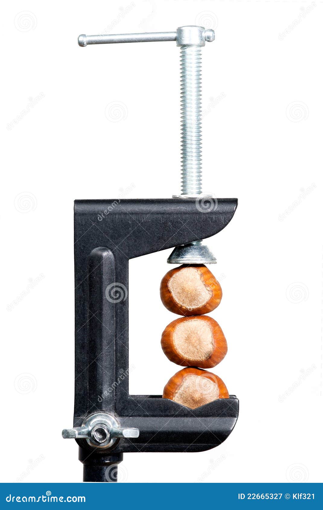 Nuts under pressing stock image. Image of healthy, foodstuff - 22665327