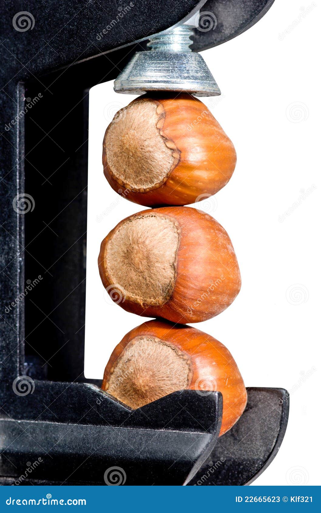 Nuts under pressing stock image. Image of ingredient - 22665623