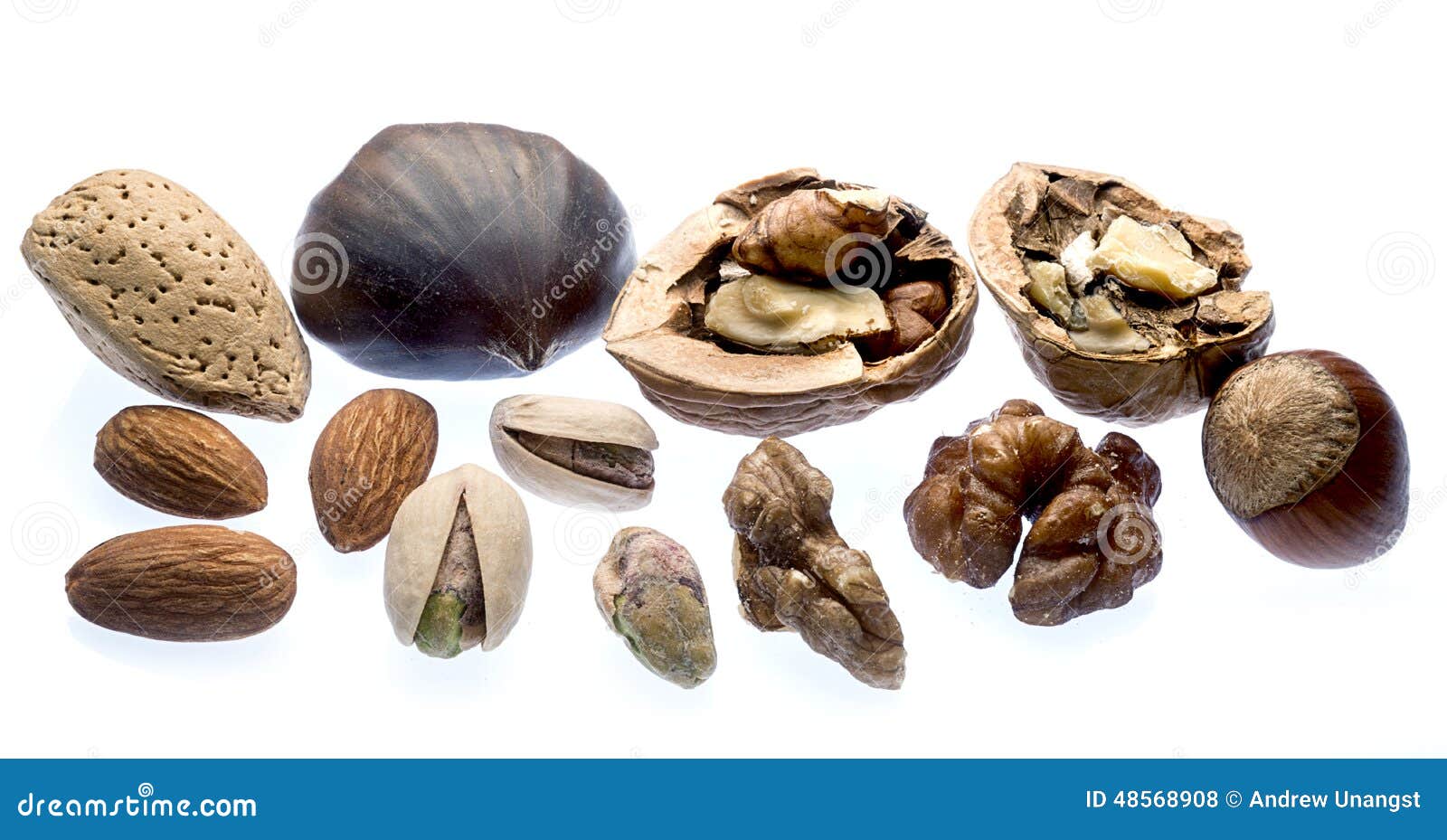 Nuts stock photo. Image of still, walnuts, light, types - 48568908