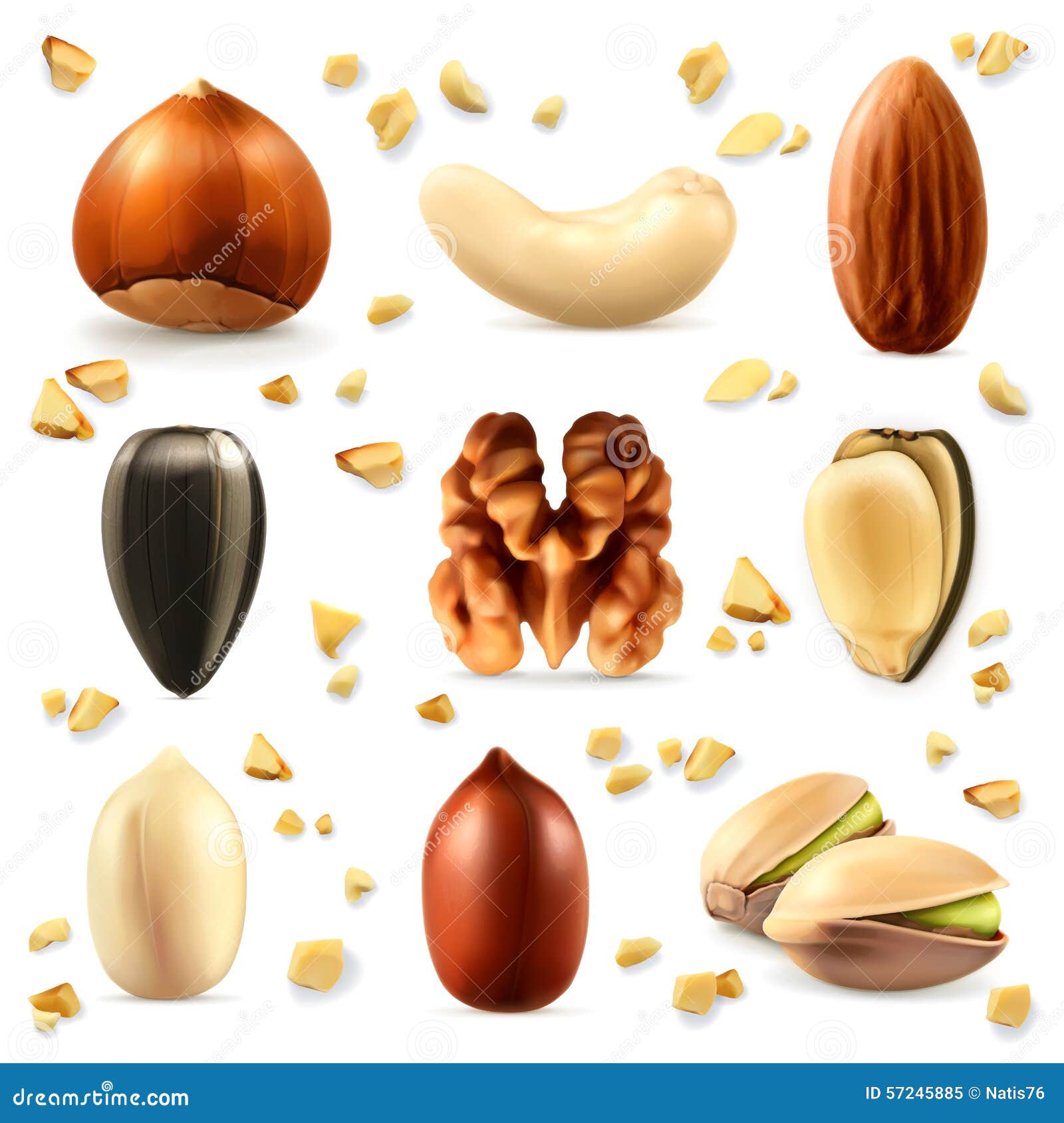 Nuts Vector Vintage Frame Illustration. Hand Drawn Engraved Food ...