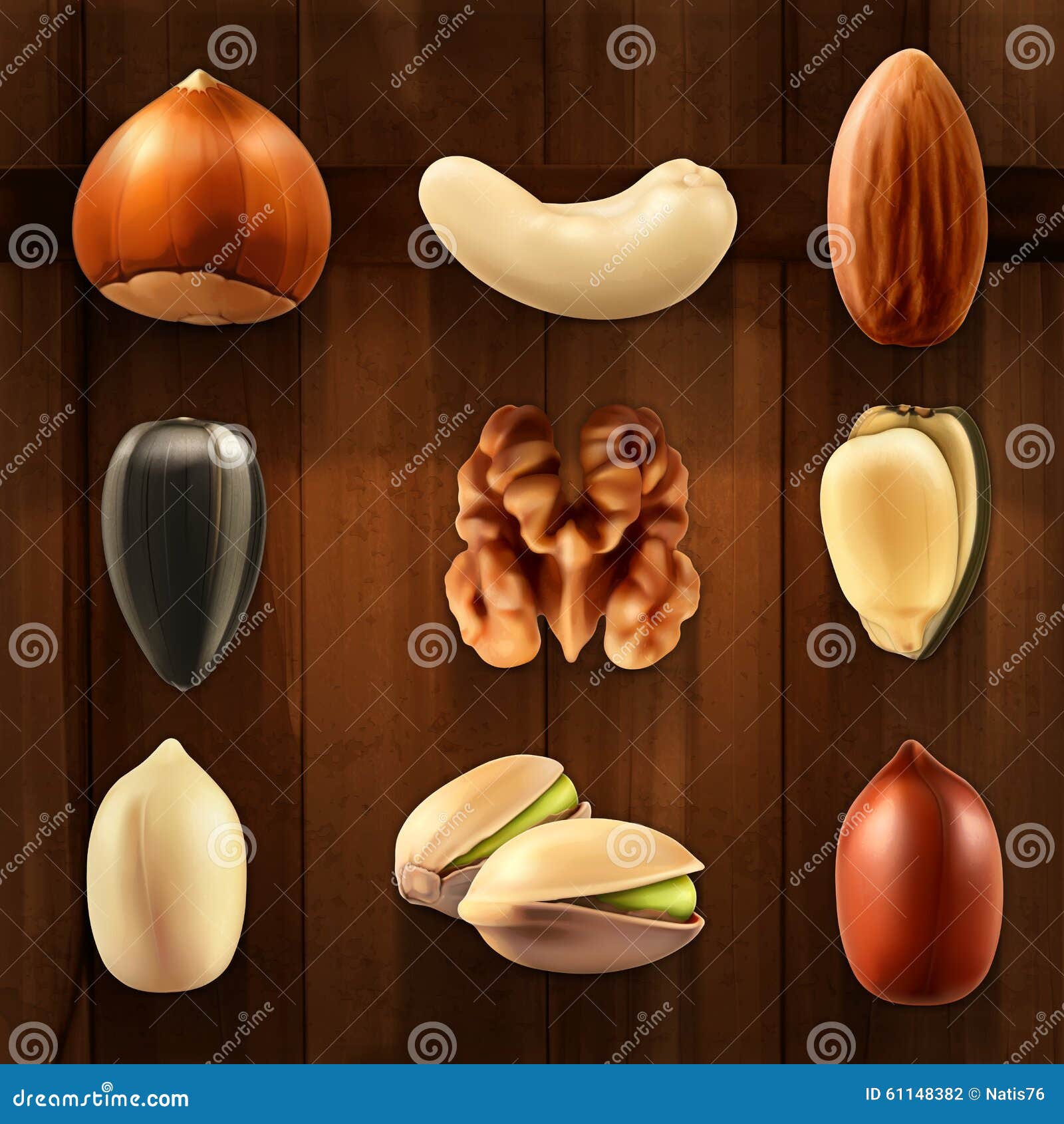 Nuts Vector Vintage Frame Illustration. Hand Drawn Engraved Food ...