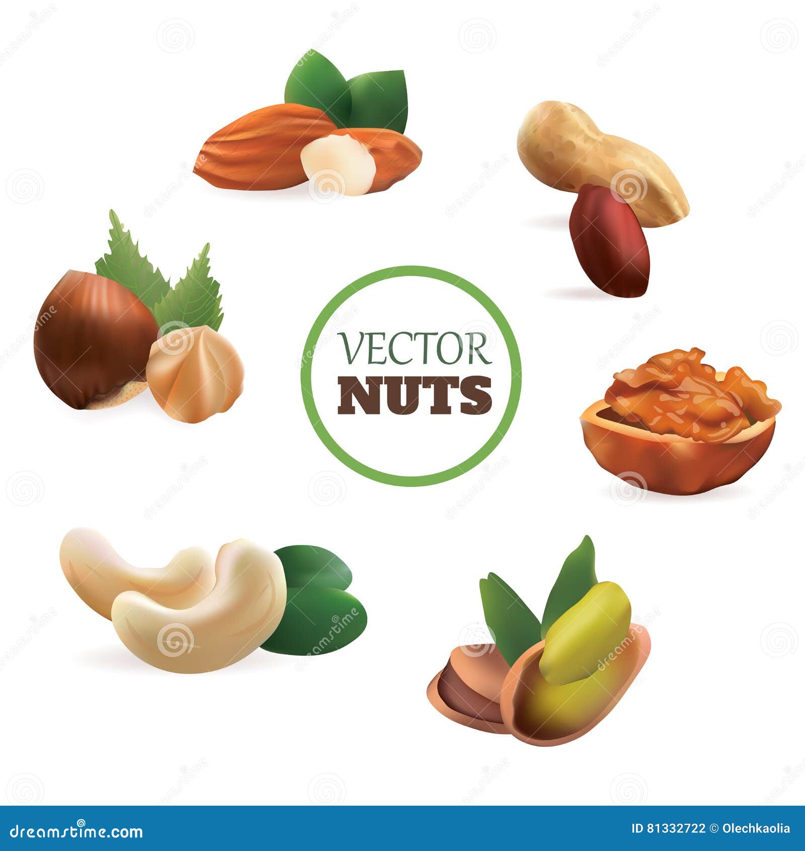 Nuts stock vector. Illustration of icon, hard, hazel - 81332722