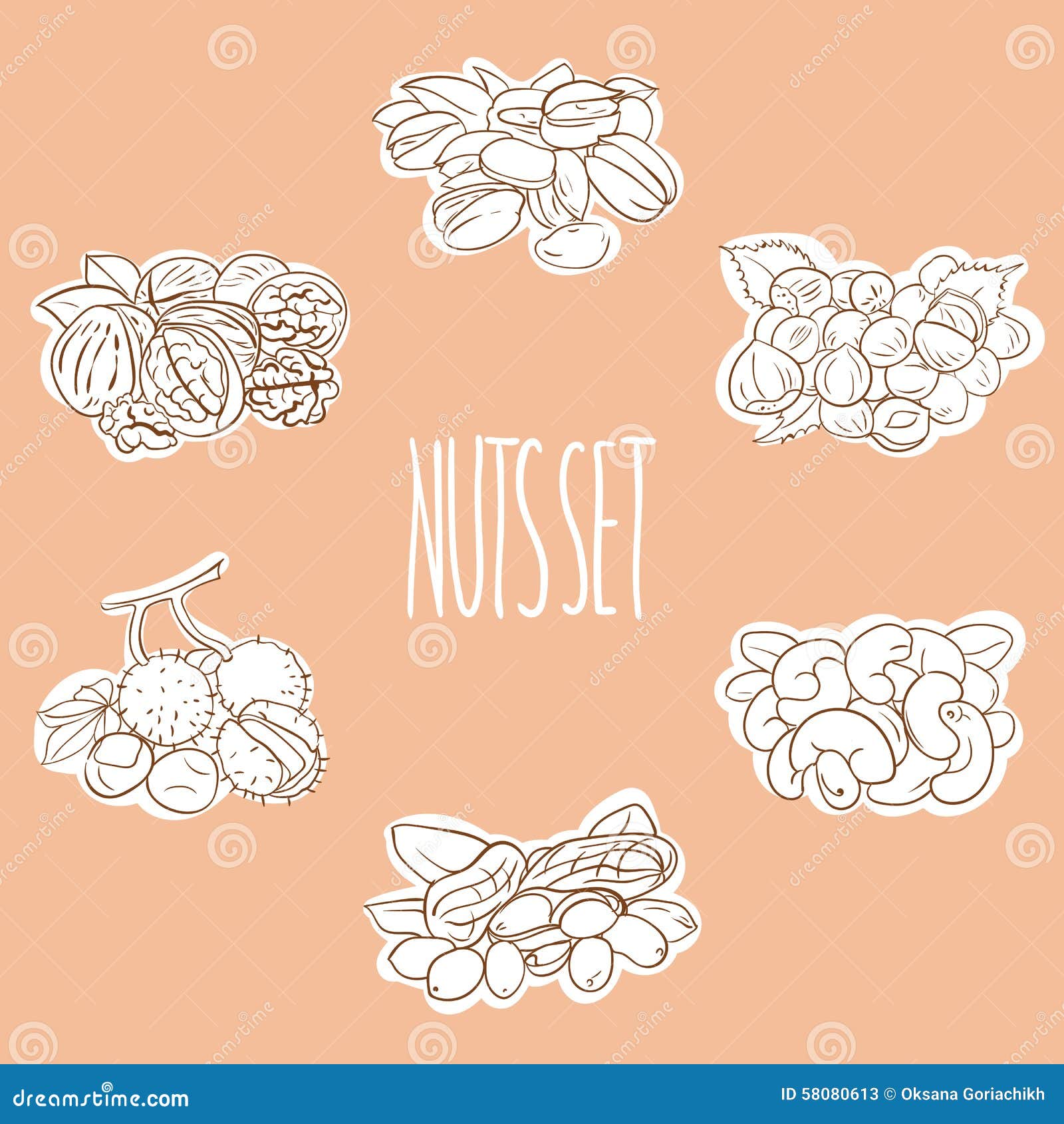 Nuts 1 stock illustration. Illustration of nutrition - 58080613