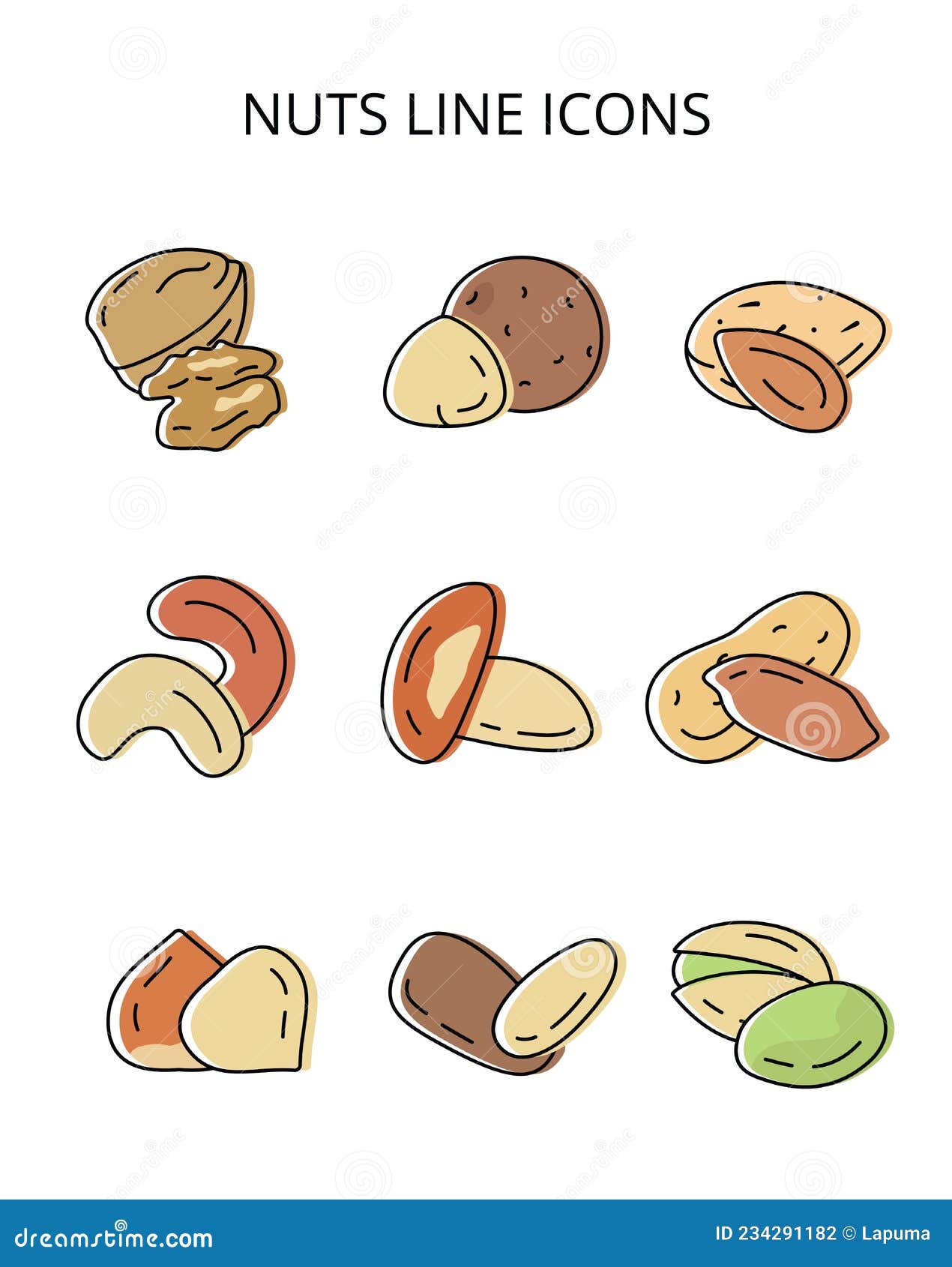 Nuts Vector Simple Illustration. Linear Objects Set Stock Vector ...