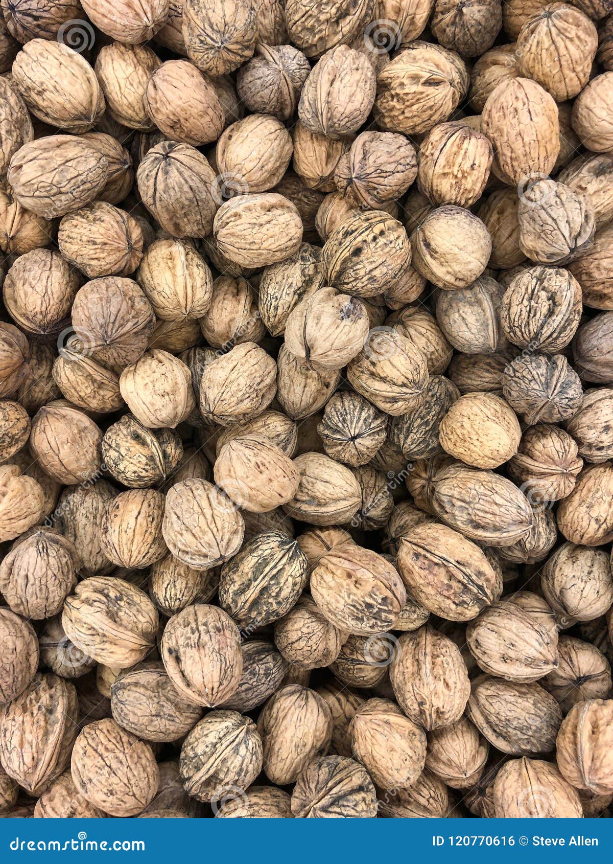 Nuts - Walnuts stock photo. Image of food, edible, shell - 120770616