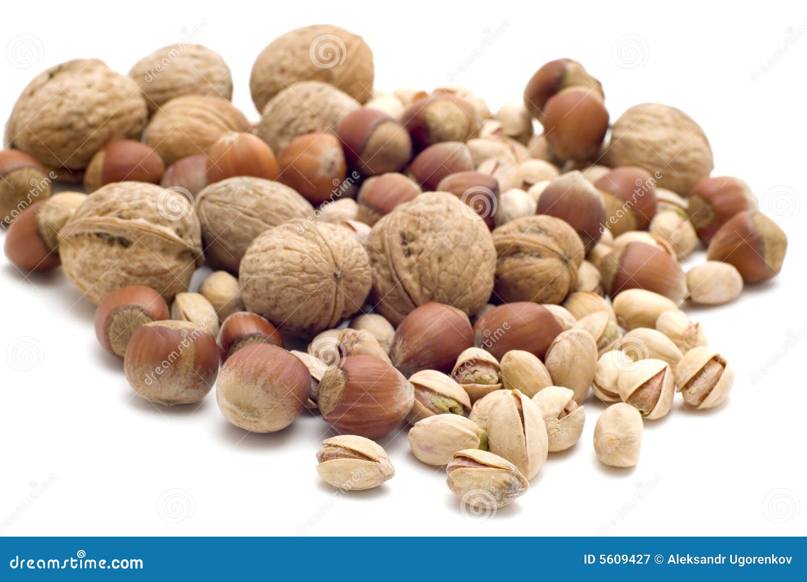 Nuts on white stock image. Image of white, genus, close - 5609427