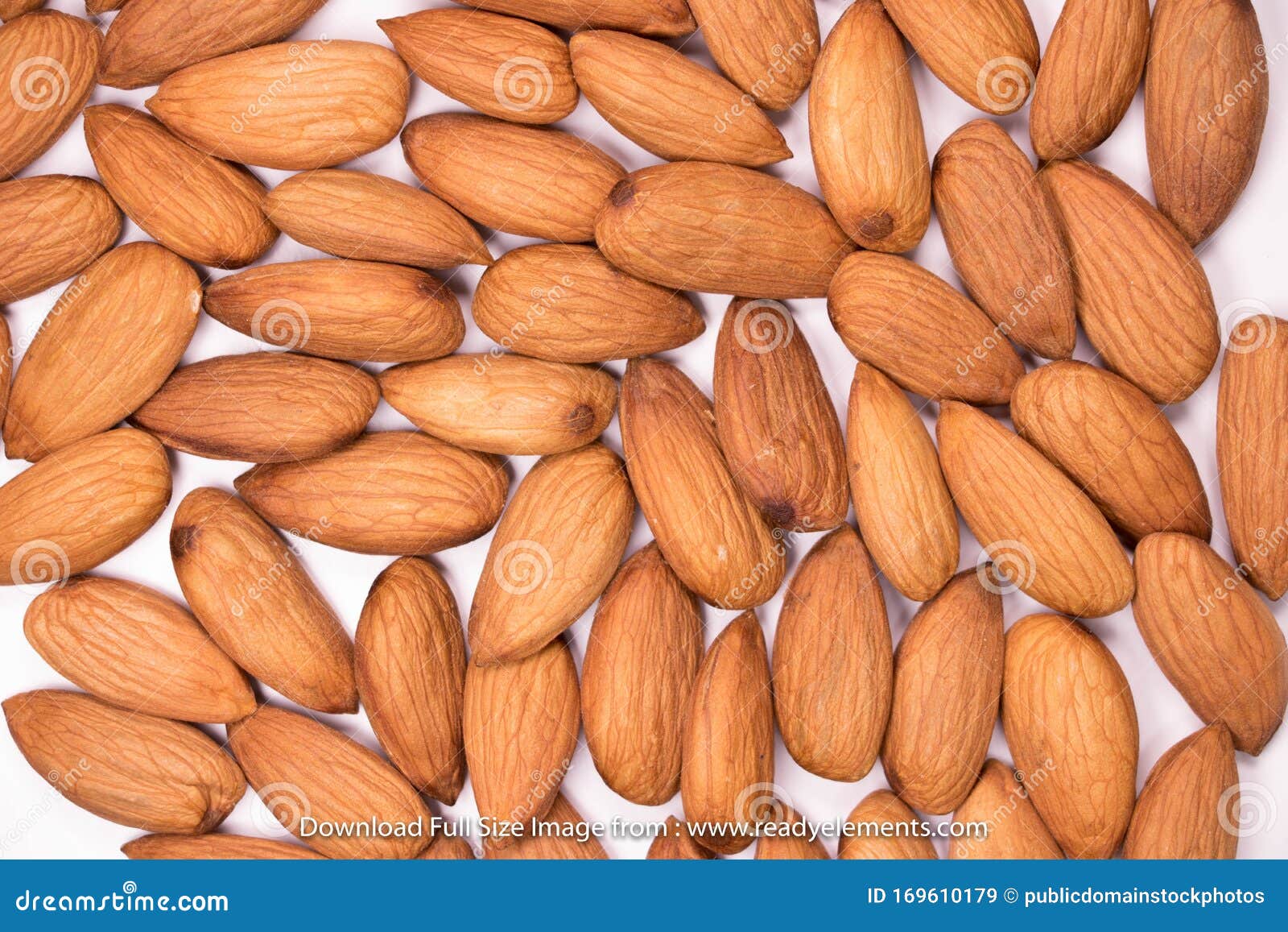 Nuts On White Background Picture. Image: 169610179