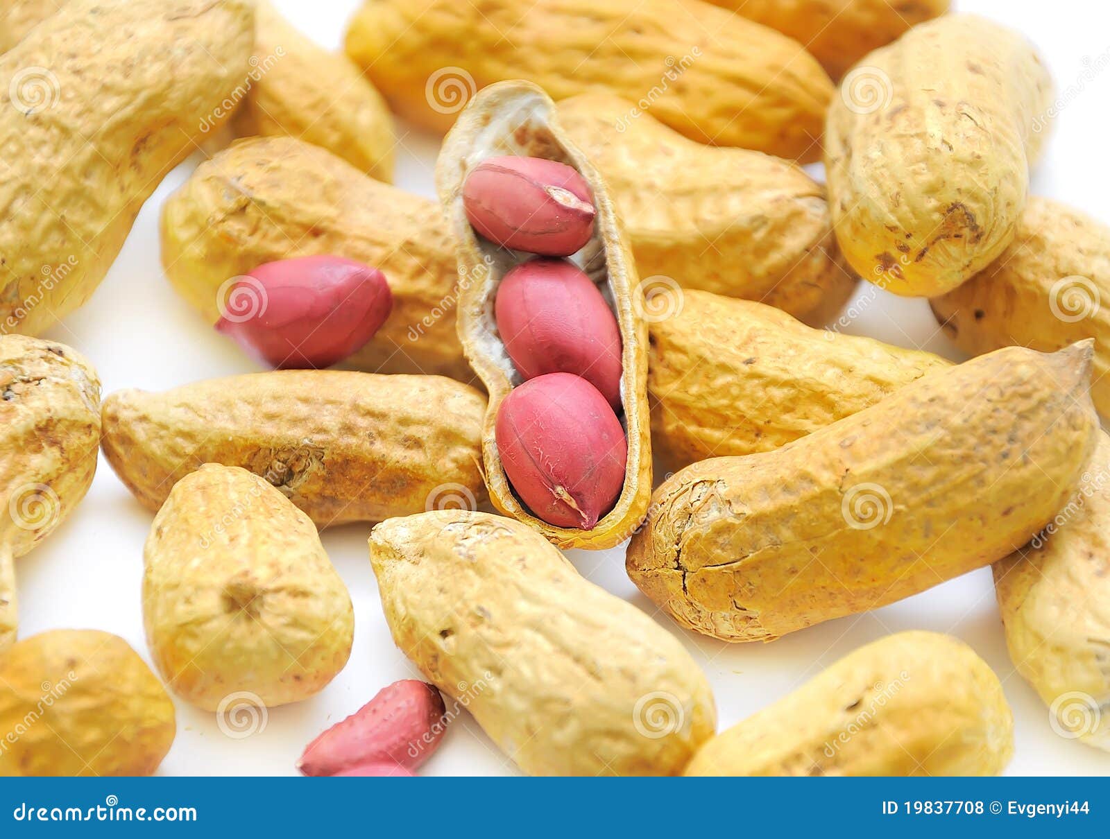 Nuts on white background stock photo. Image of delicious - 19837708