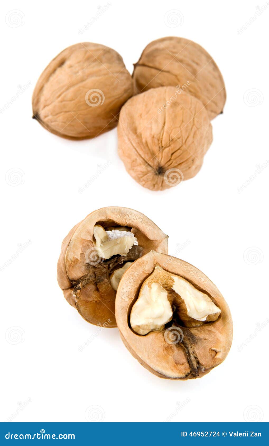 Nuts stock photo. Image of food, hard, flavor, healthy - 46952724