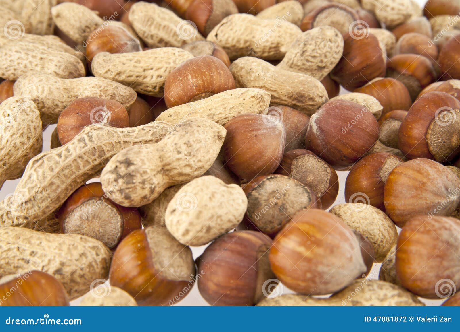 Nuts stock photo. Image of vegetarianism, diet, textured - 47081872