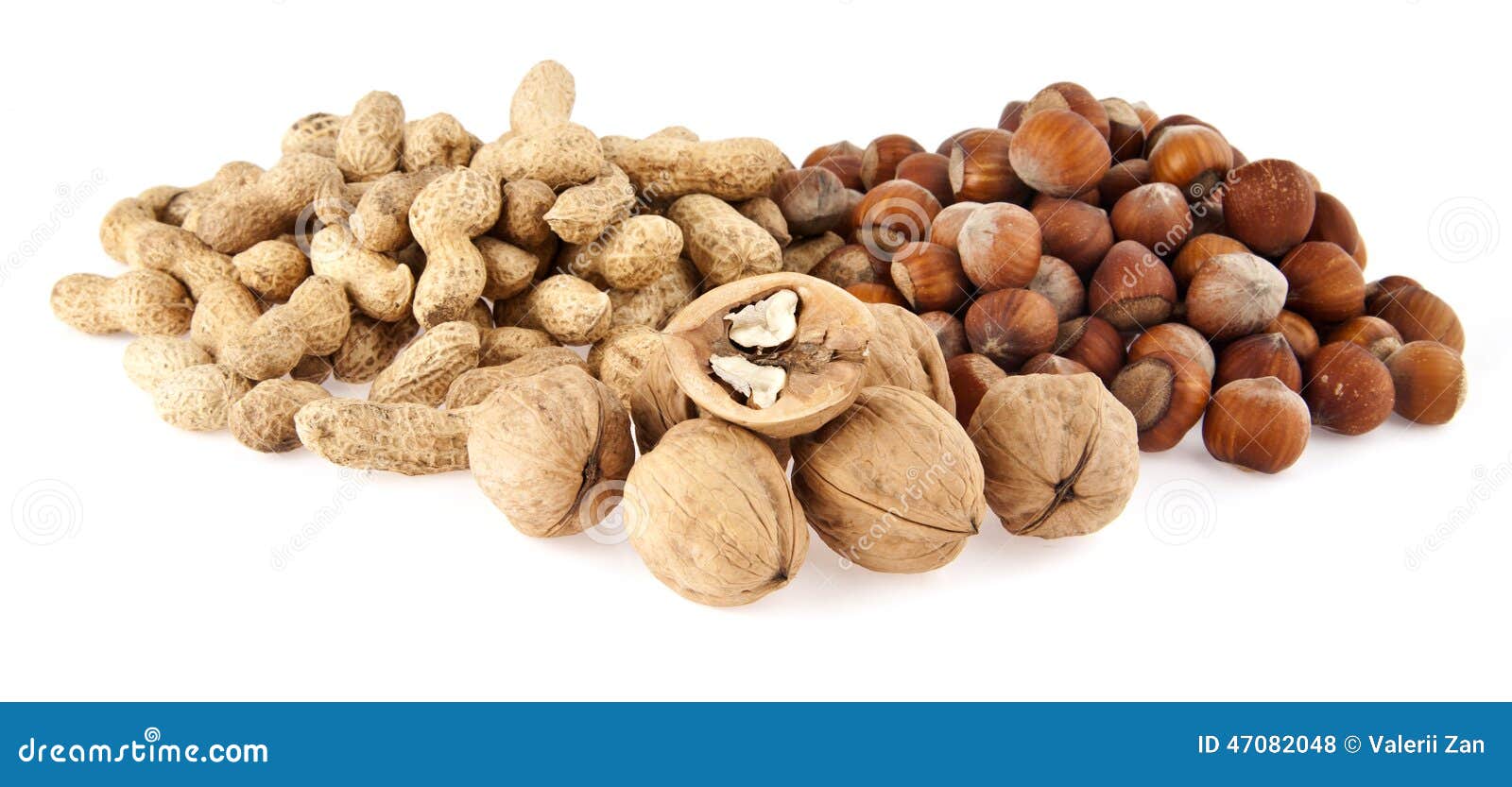 Nuts stock photo. Image of peeled, ingredients, natural - 47082048