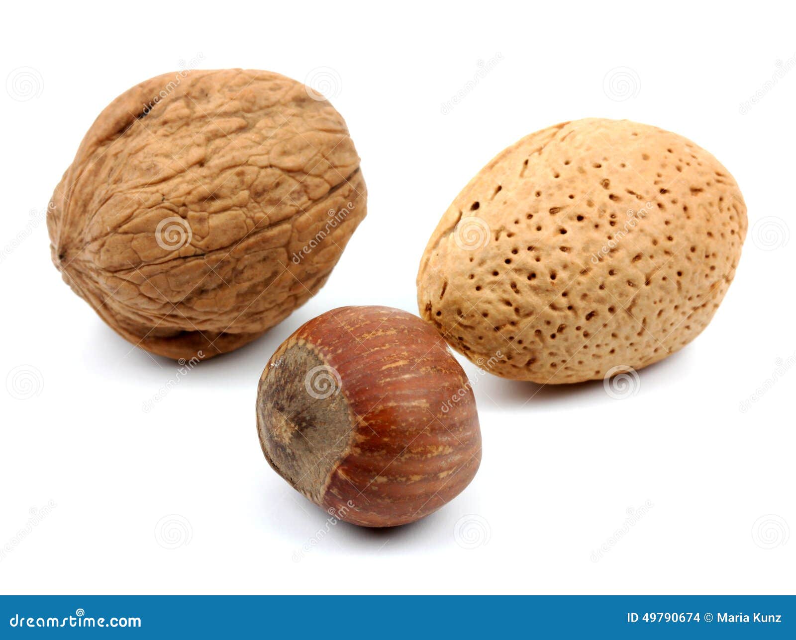 Nuts on a white background stock photo. Image of healthy - 49790674