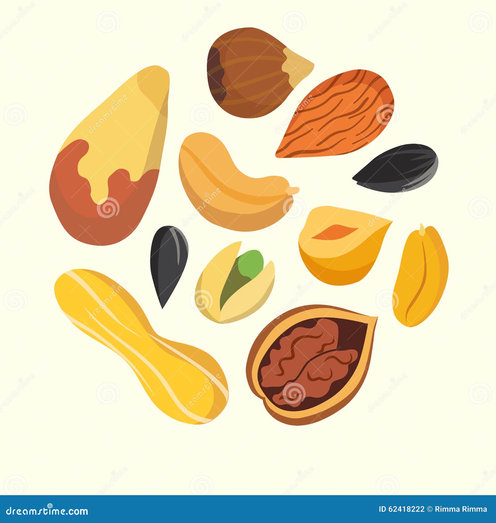 Nuts on white background stock vector. Illustration of icon - 62418222