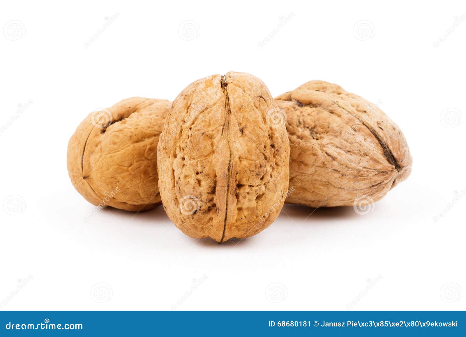 Nuts on a white background stock image. Image of feed - 68680181