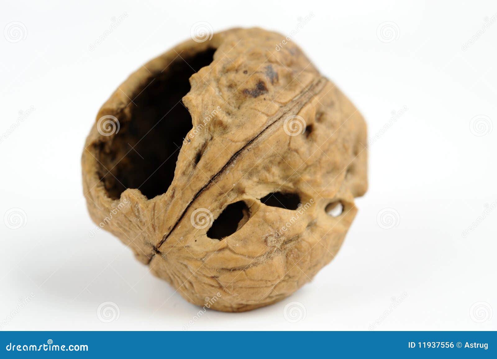 Nutshell stock photo. Image of brown, kitchen, nutshell - 11937556