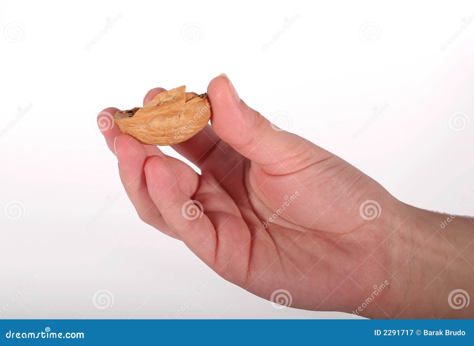 In a Nutshell stock image. Image of background, food, peanuts - 2291717