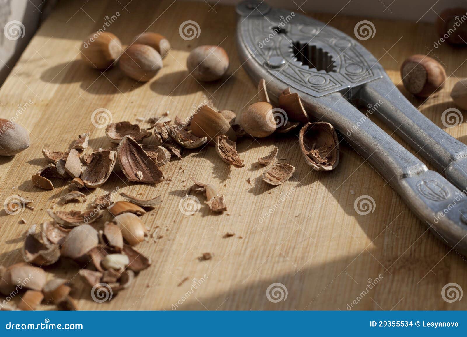 Nutshell stock photo. Image of article, nutshell, pill - 29355534