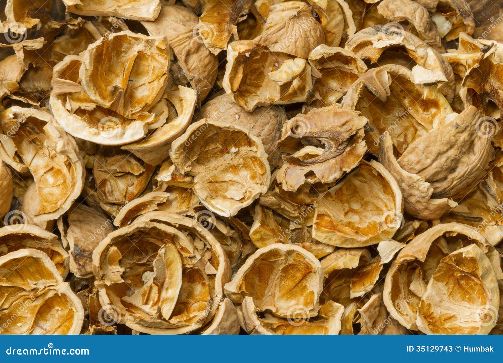 Nutshell background stock image. Image of wallpaper, frame - 35129743