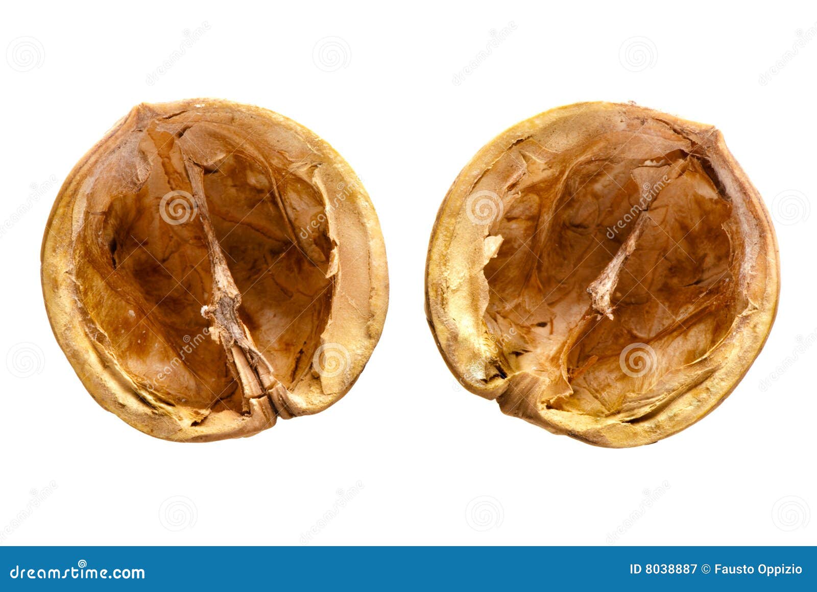 Nutshells stock image. Image of background, healthy, vitamin - 8038887