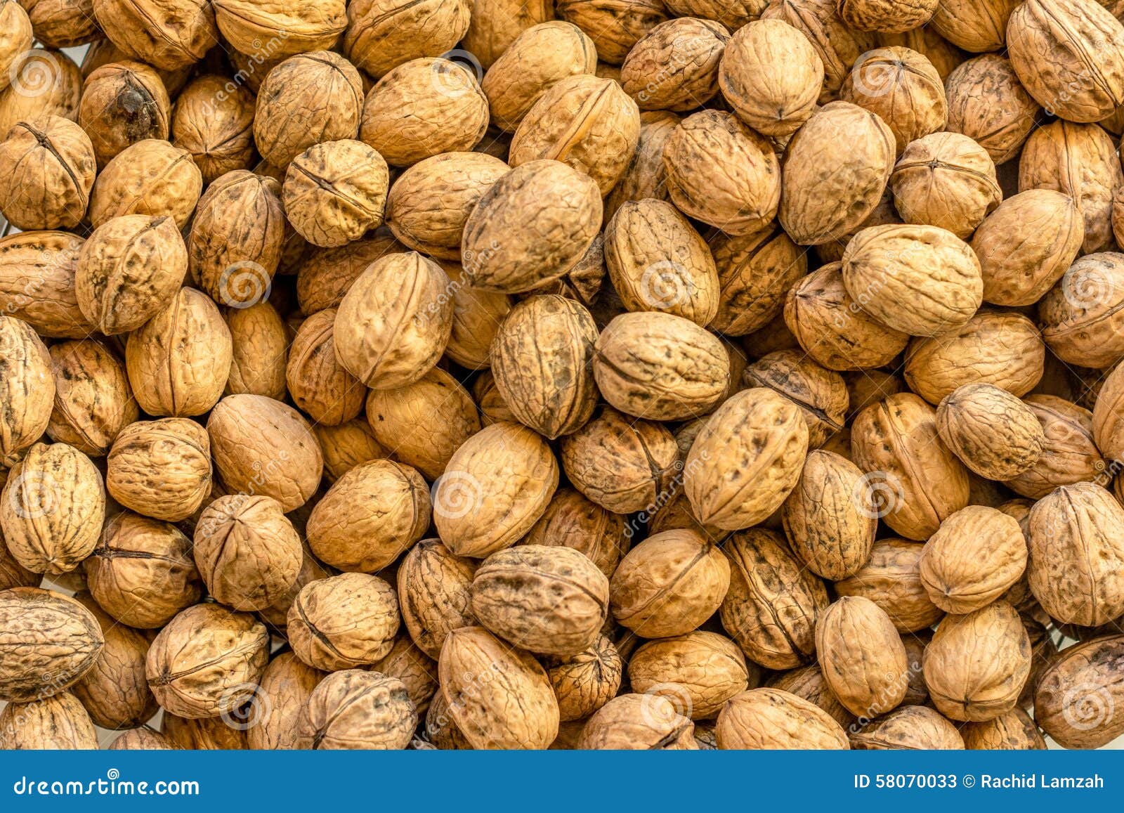 Nutshells stock image. Image of heap, gathered, shells - 58070033