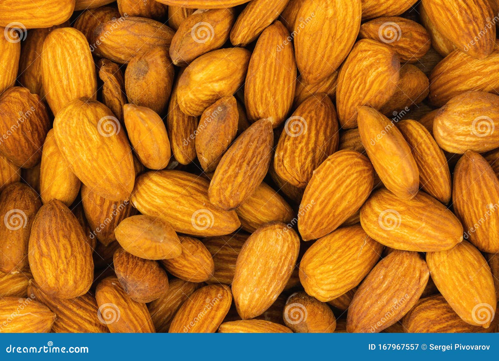 Top View Of Base Of The Human Skull Showing Sphenoid Bone And Foramen ...