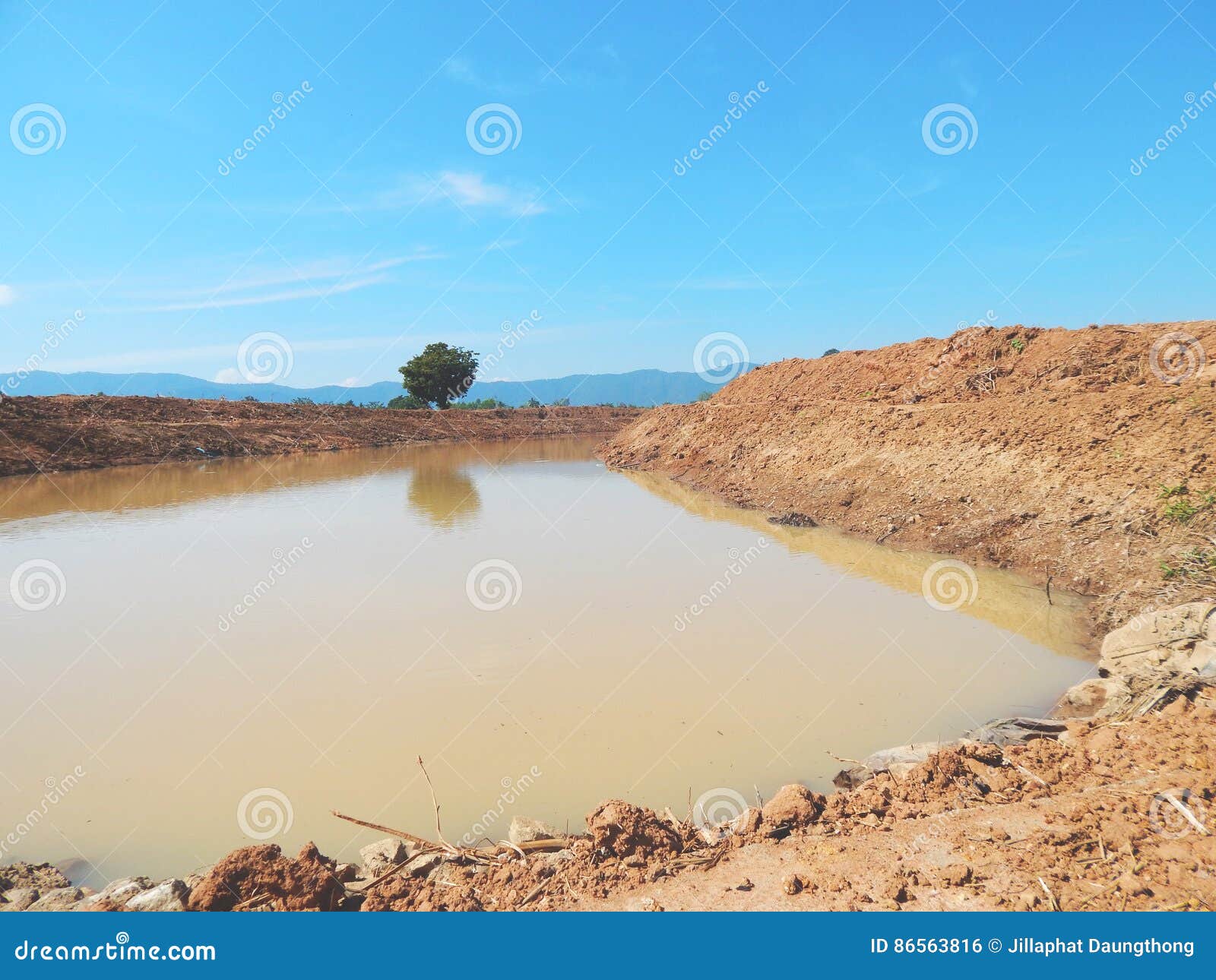 Nuture stock photo. Image of forest, green, ocean, rock - 86563816