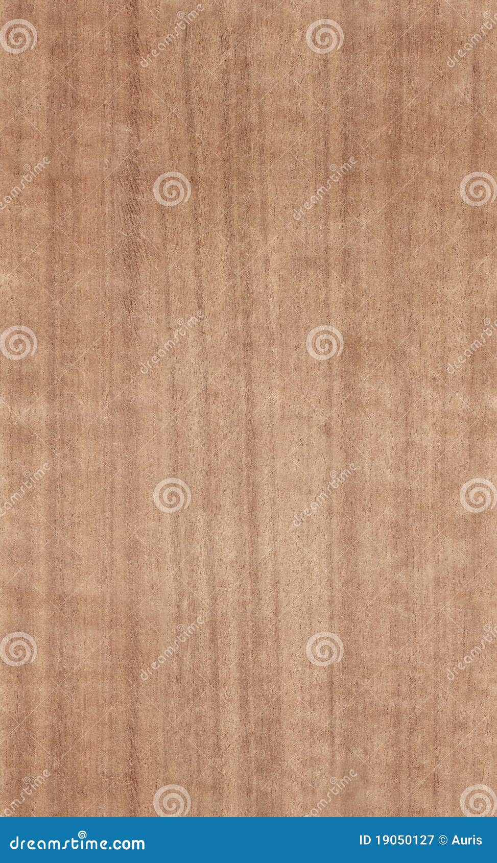 Nutwood Texture Stock Image | CartoonDealer.com #19050127