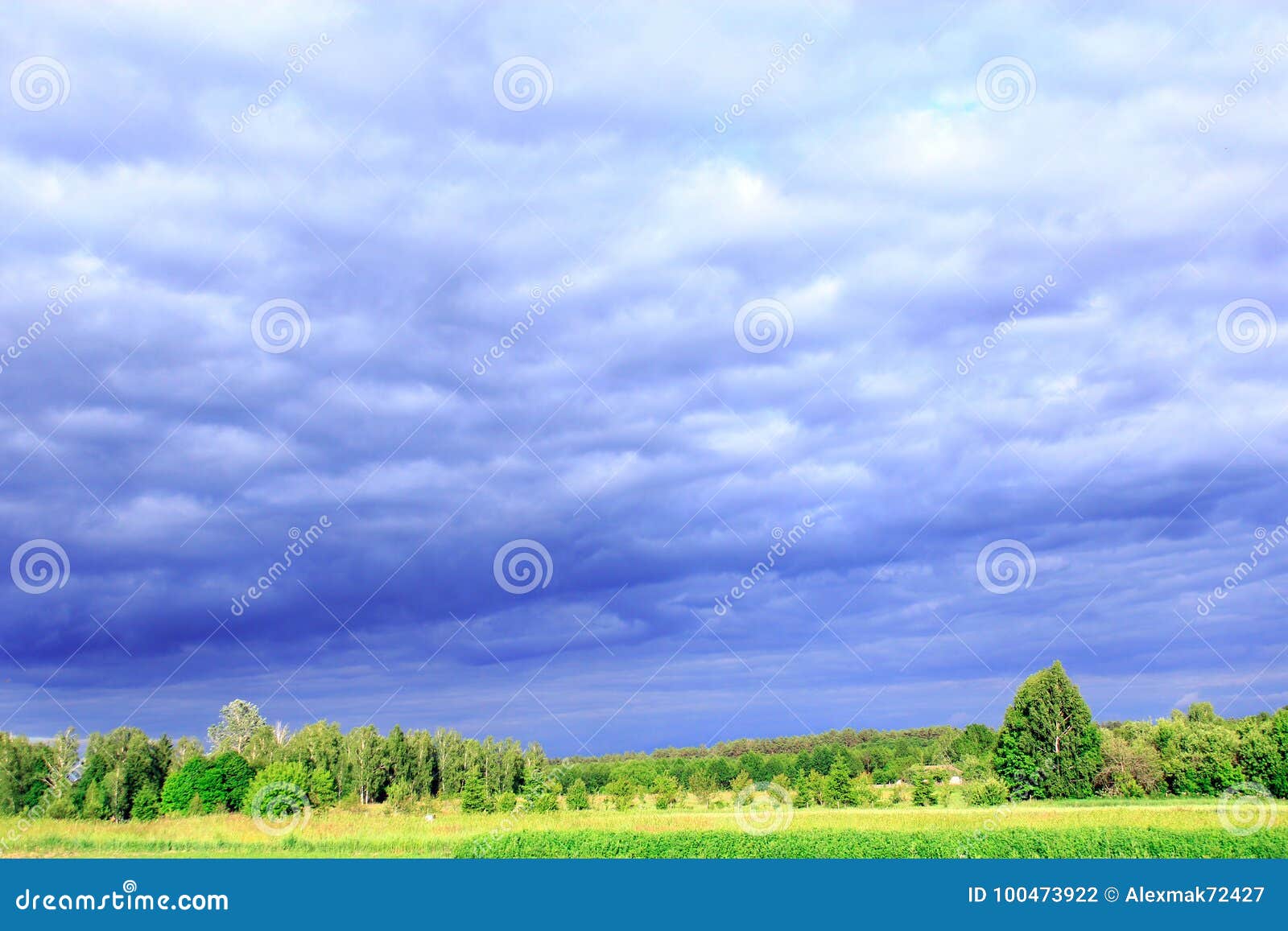 Nuvens Do Nuvem Tempestuosa Sob a Floresta E a Terra Foto de Stock ...