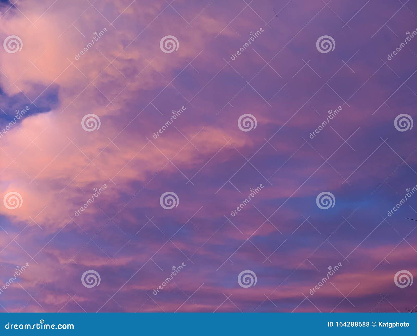Nuvole Rosa Per Il Cielo Blu Fotografia Stock - Immagine di spazio ...