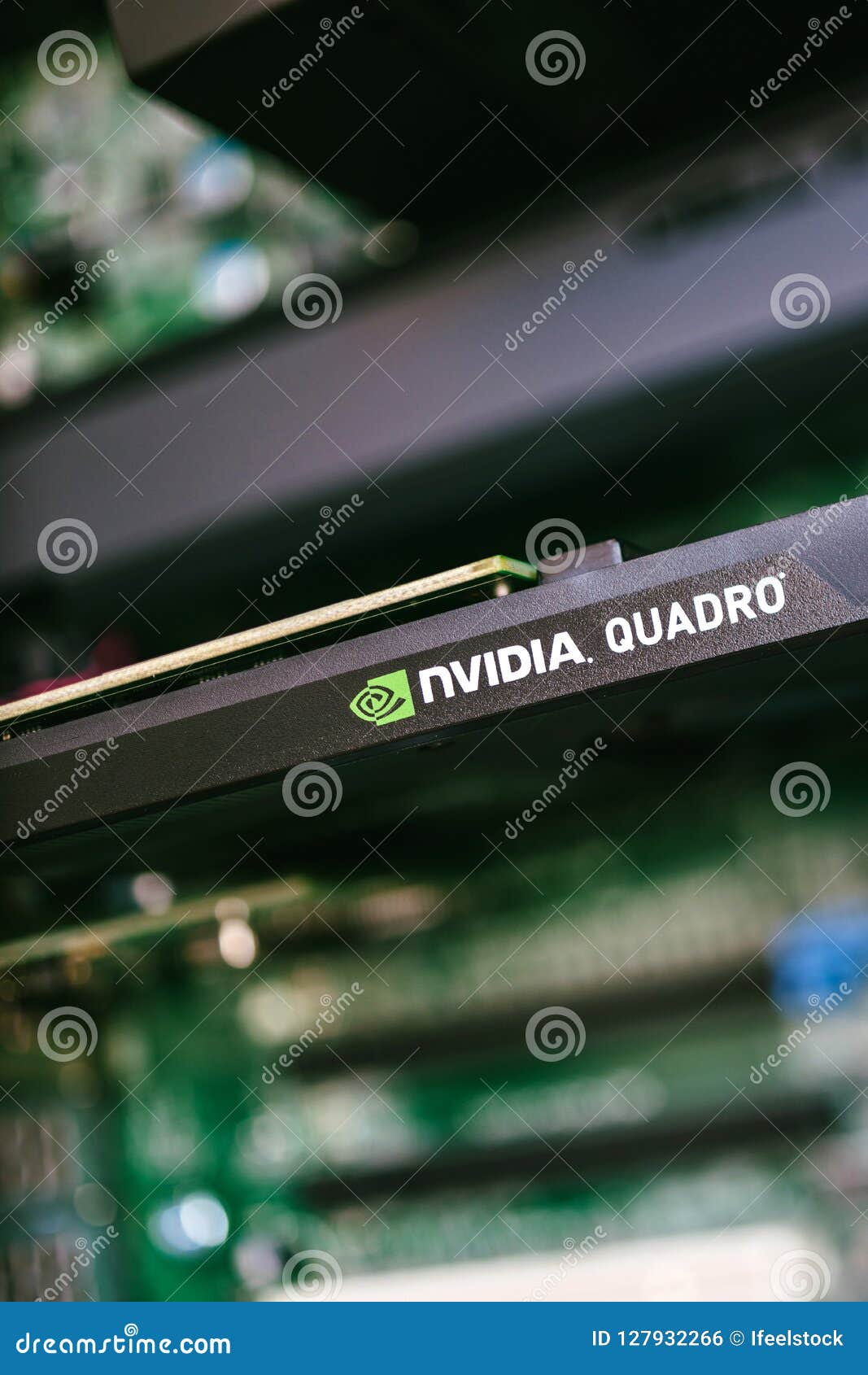 NVIDIA Quadro GPU fotografia editoriale. Immagine di dispositivo ...