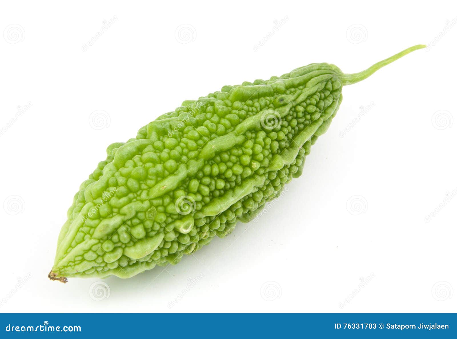 Ny bitter kalebass fotografering för bildbyråer. Bild av naturligt ...